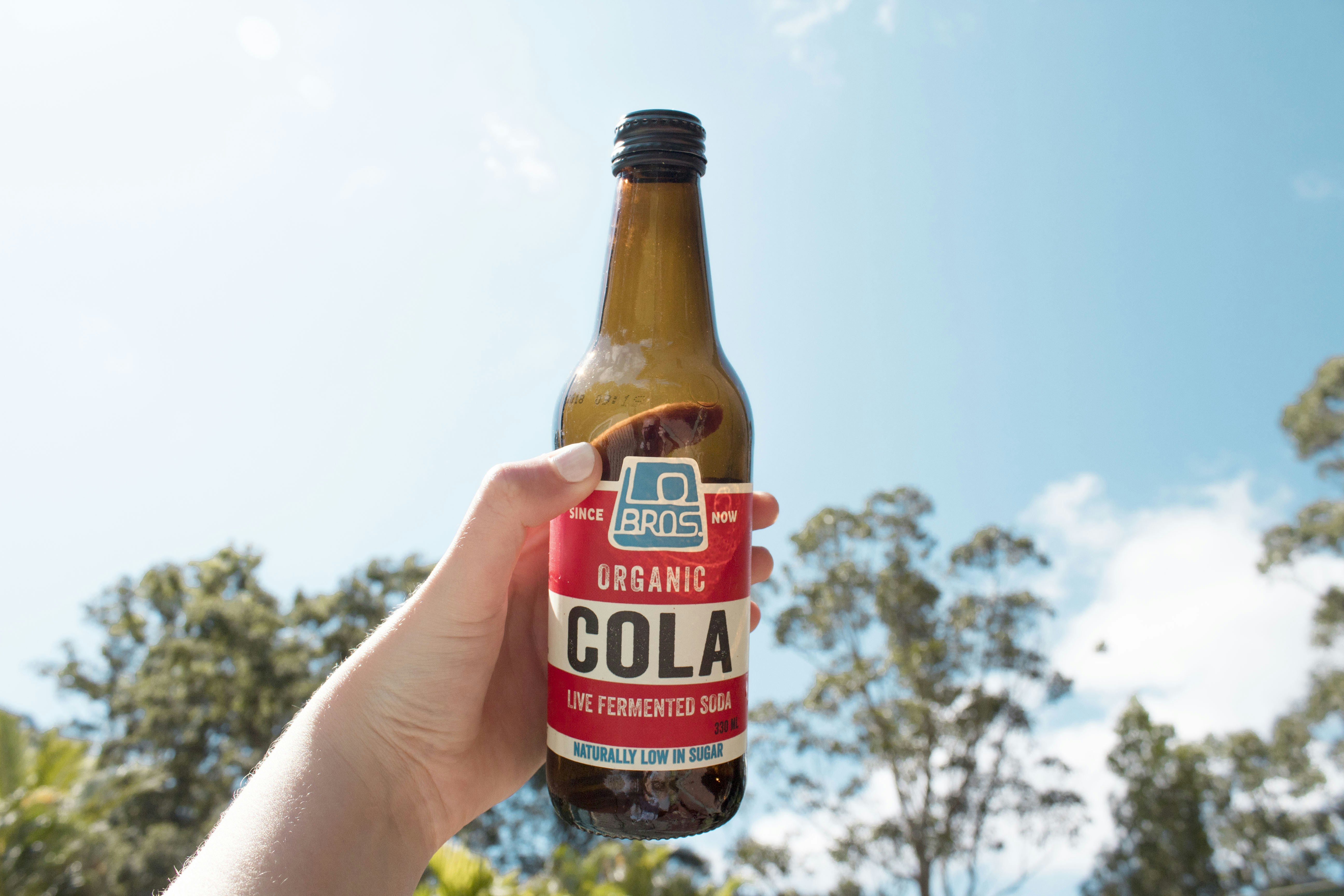 Person holding Lo Bros Cola bottle photo – Free Beer Image on Unsplash