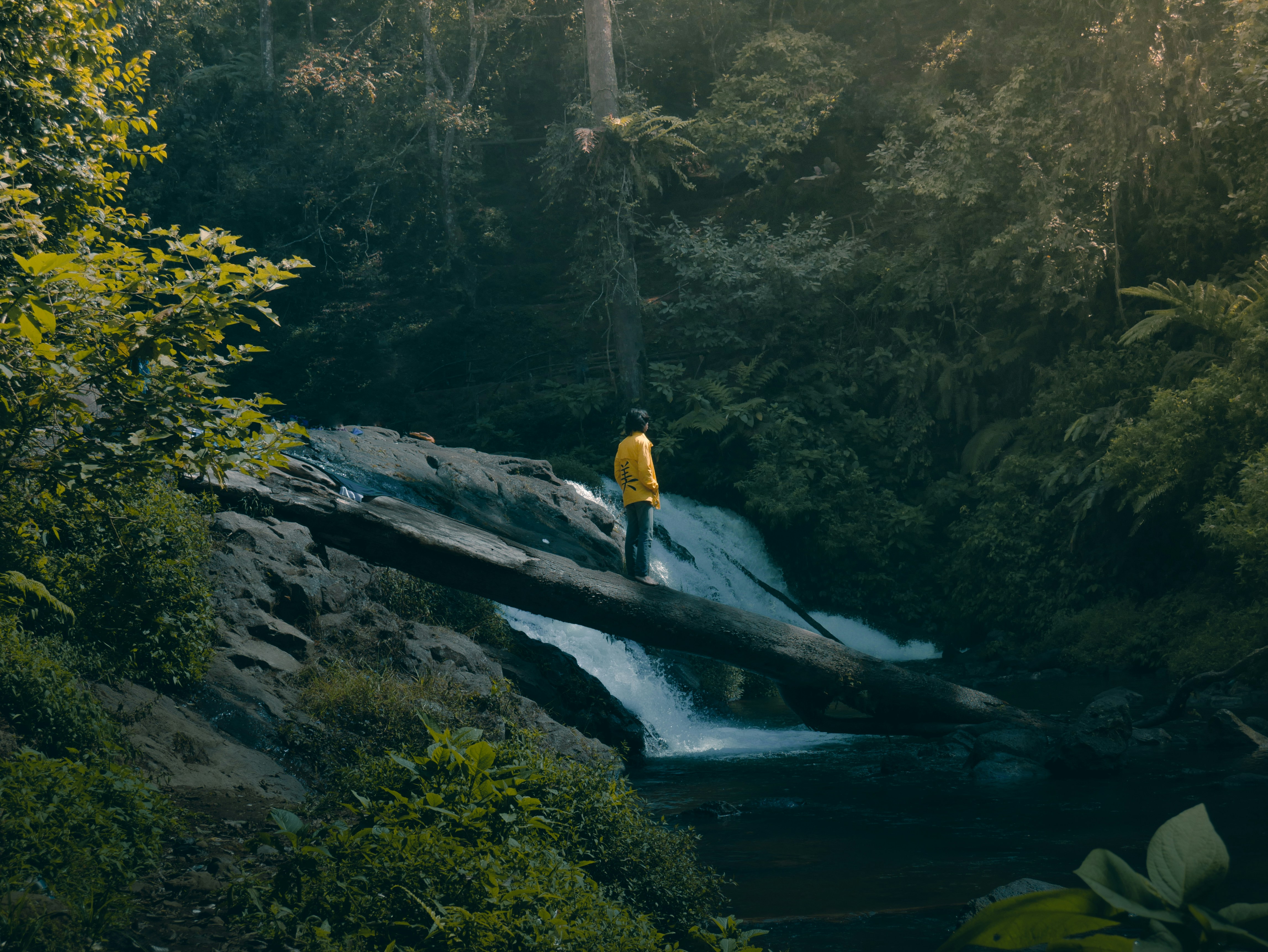 Man standing at middle of downward slope of rock photo – Free Layung ...