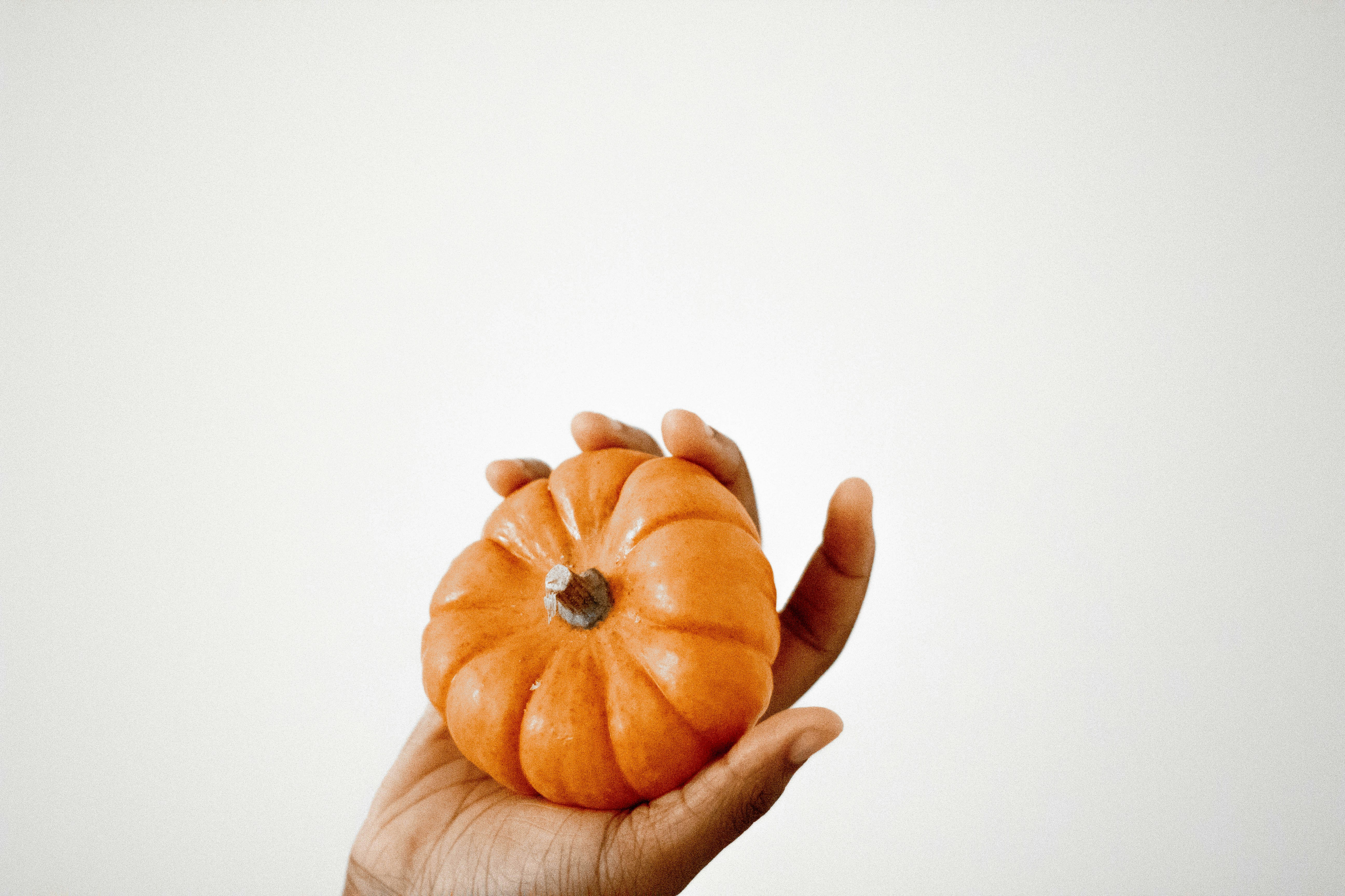 Tender Harvest: A Tiny Pumpkin Cradled in a Gentle Hand