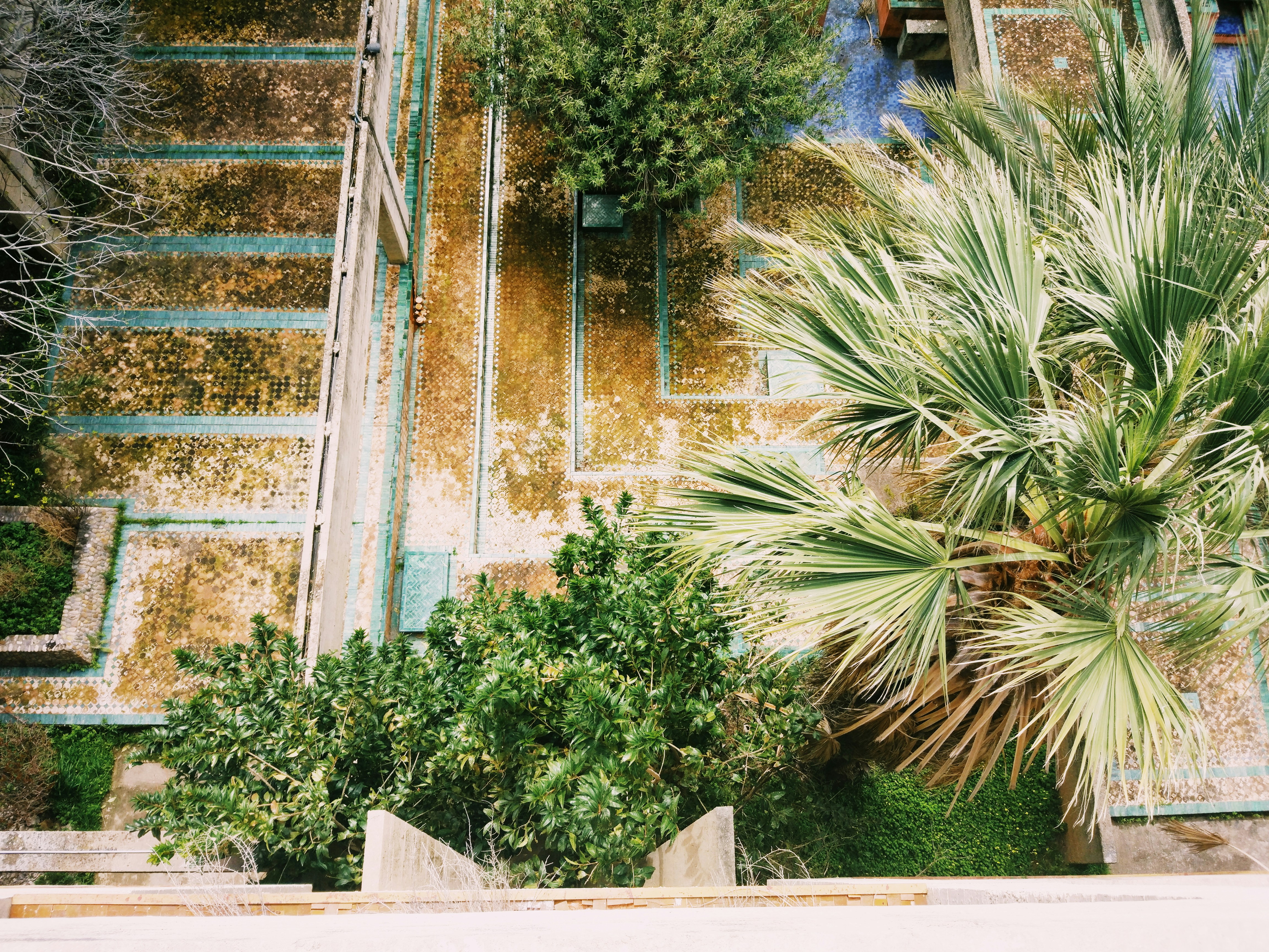 Lush greenery and geometric patterns of a garden from an elevated perspective, showcasing the interplay of nature and design.