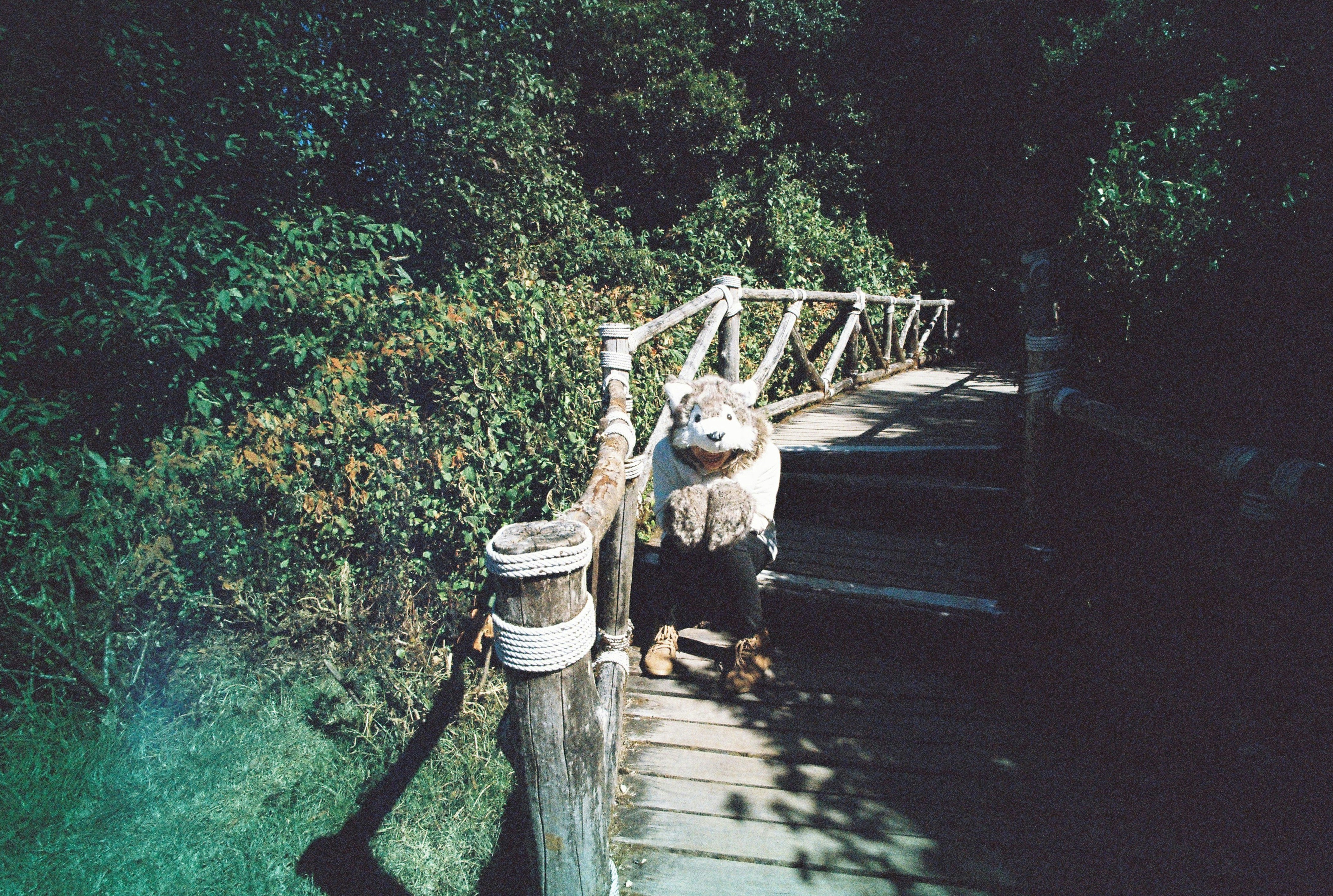 A playful character in a furry costume sits on a wooden bridge surrounded by lush greenery.