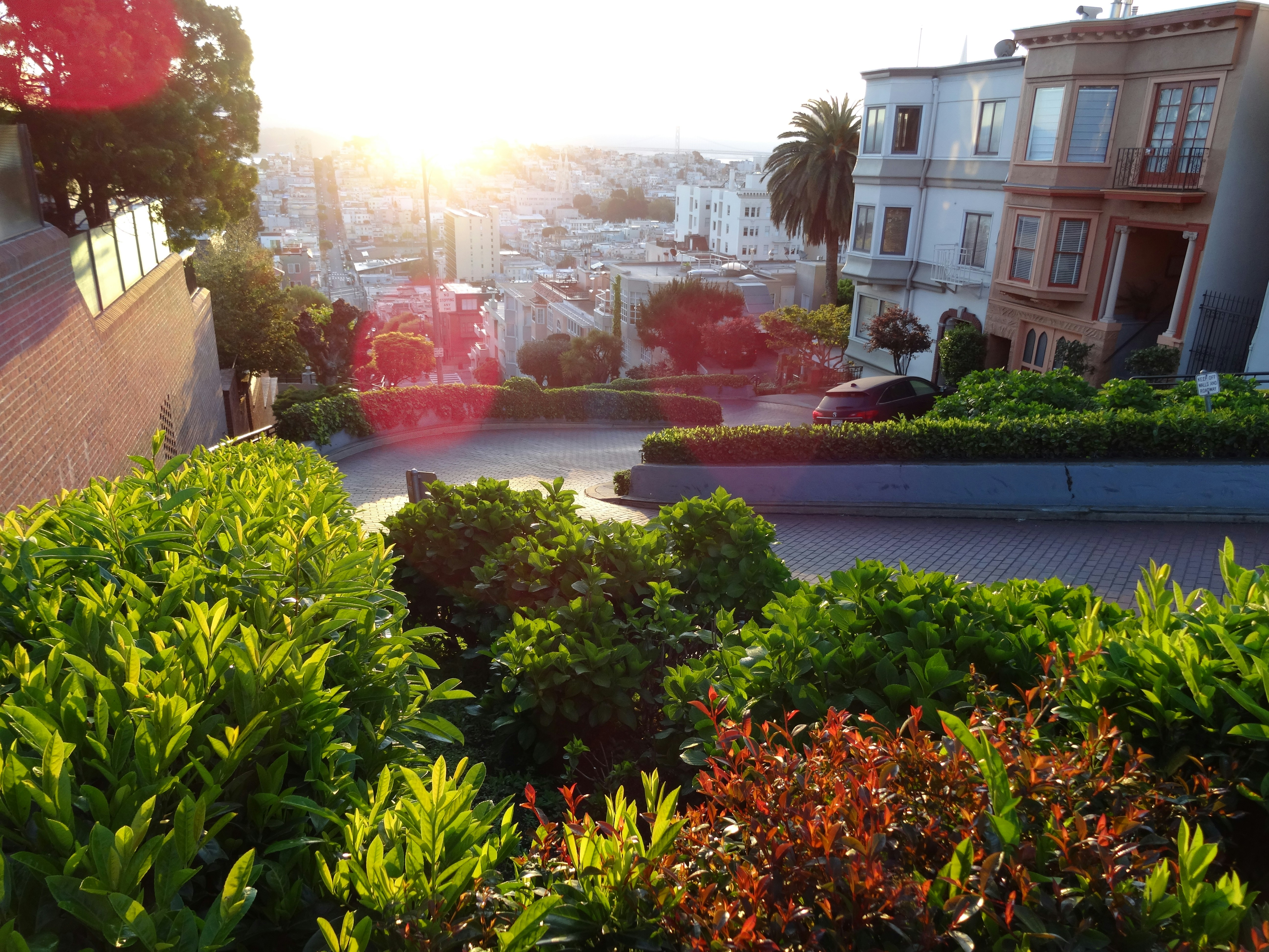 Green leafed plants near concrete ramp photo – Free United states Image ...
