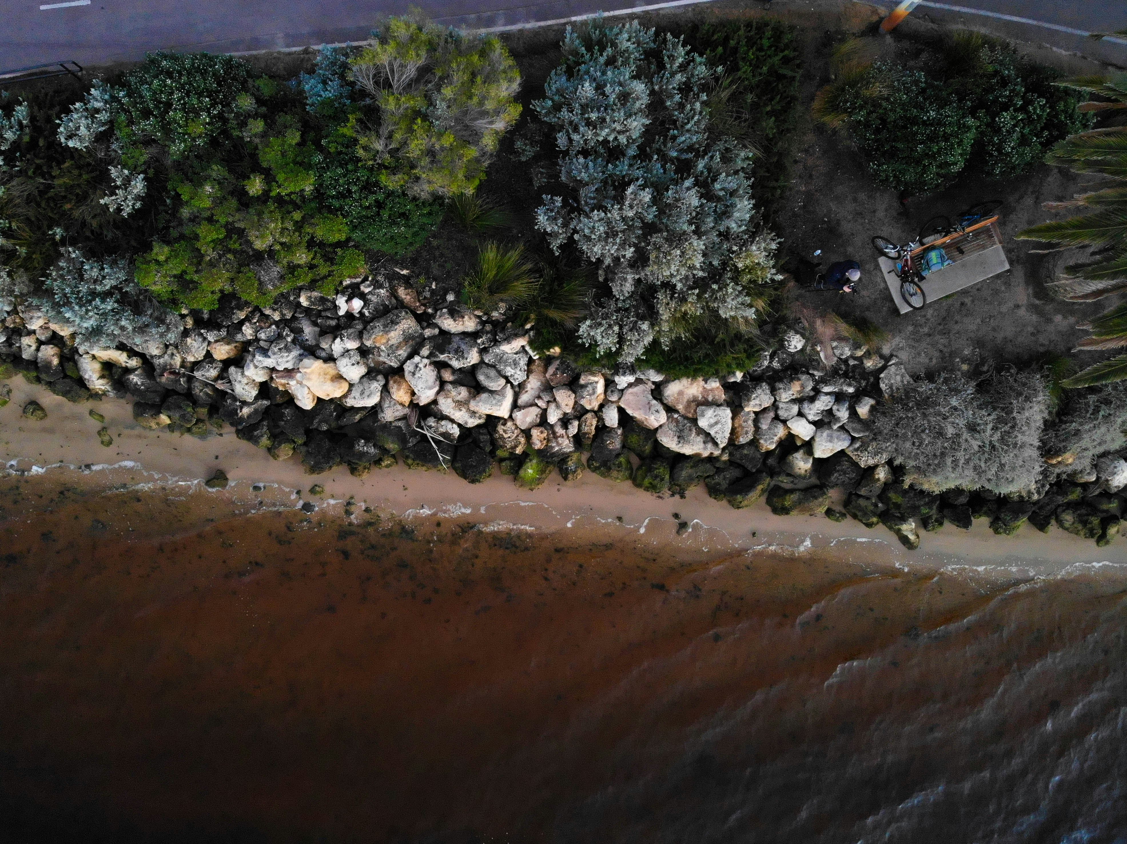 Rugged Breakwater Ridge: A Drone Portrait of Shoreline and Woodland