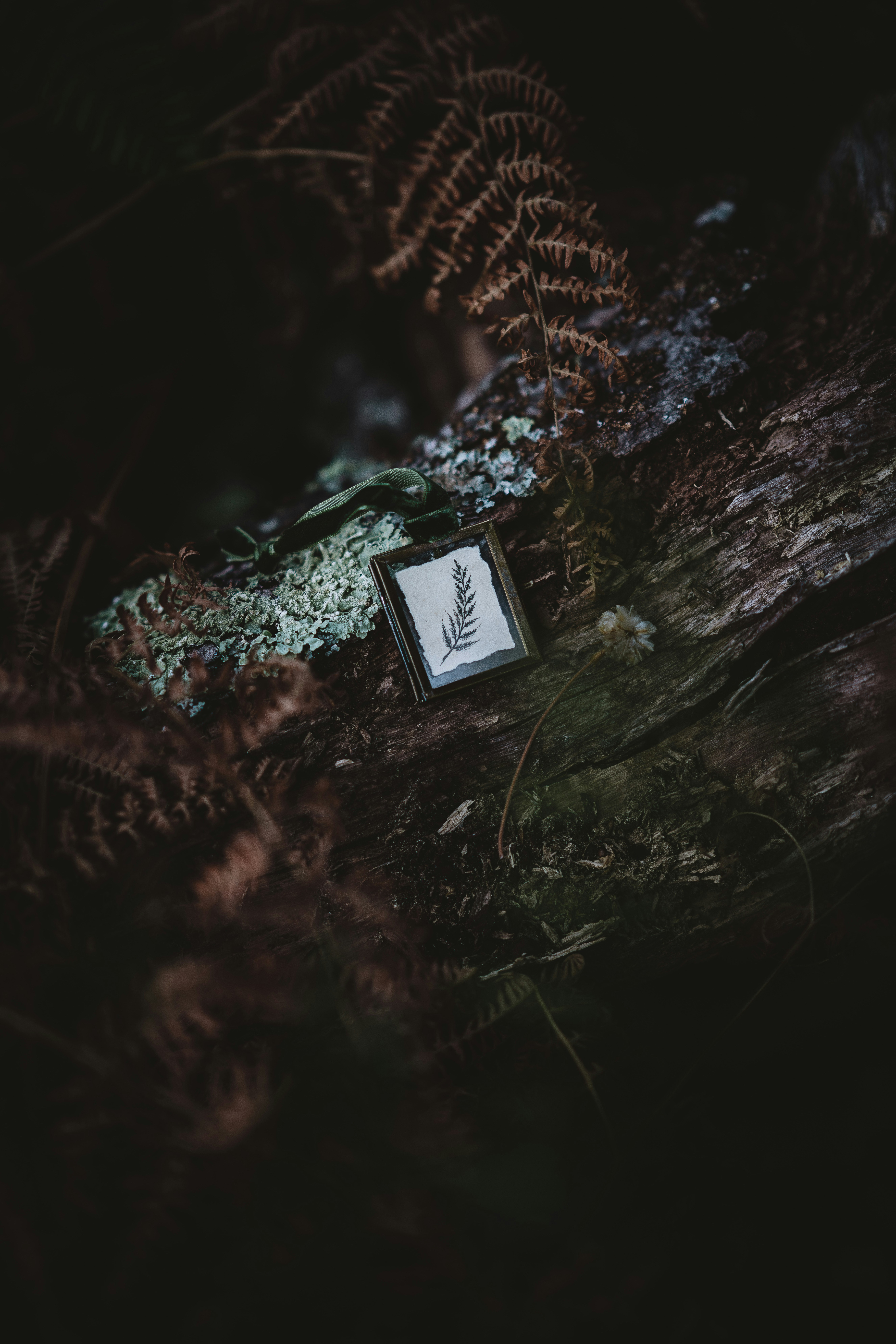 Rectangular brown wooden frame photo – Free Grey Image on Unsplash