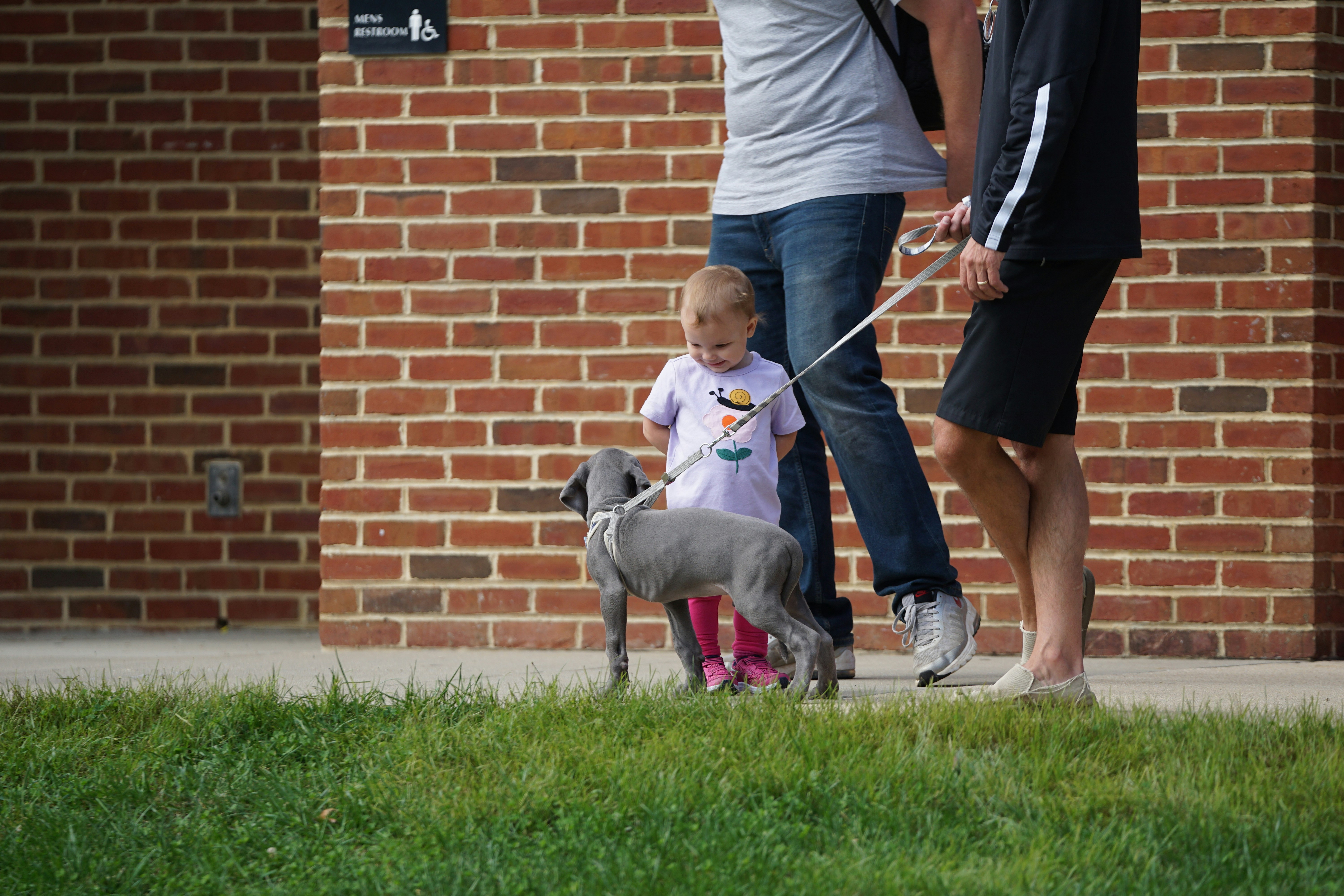 Child and dog at the doorway: a family moment on leash