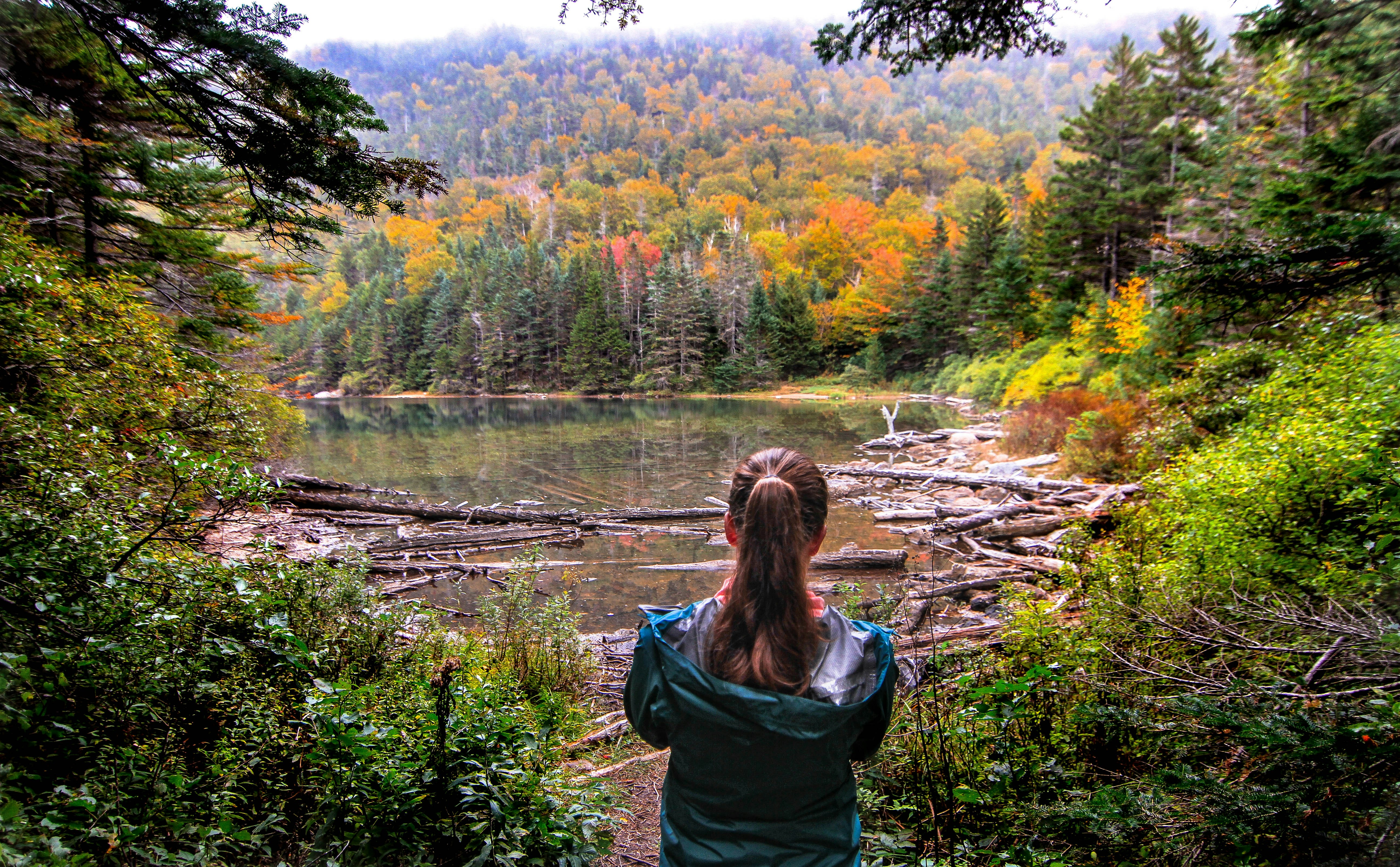 Person standing under a tree, overlooking a serene lake surrounded by vibrant autumn foliage.