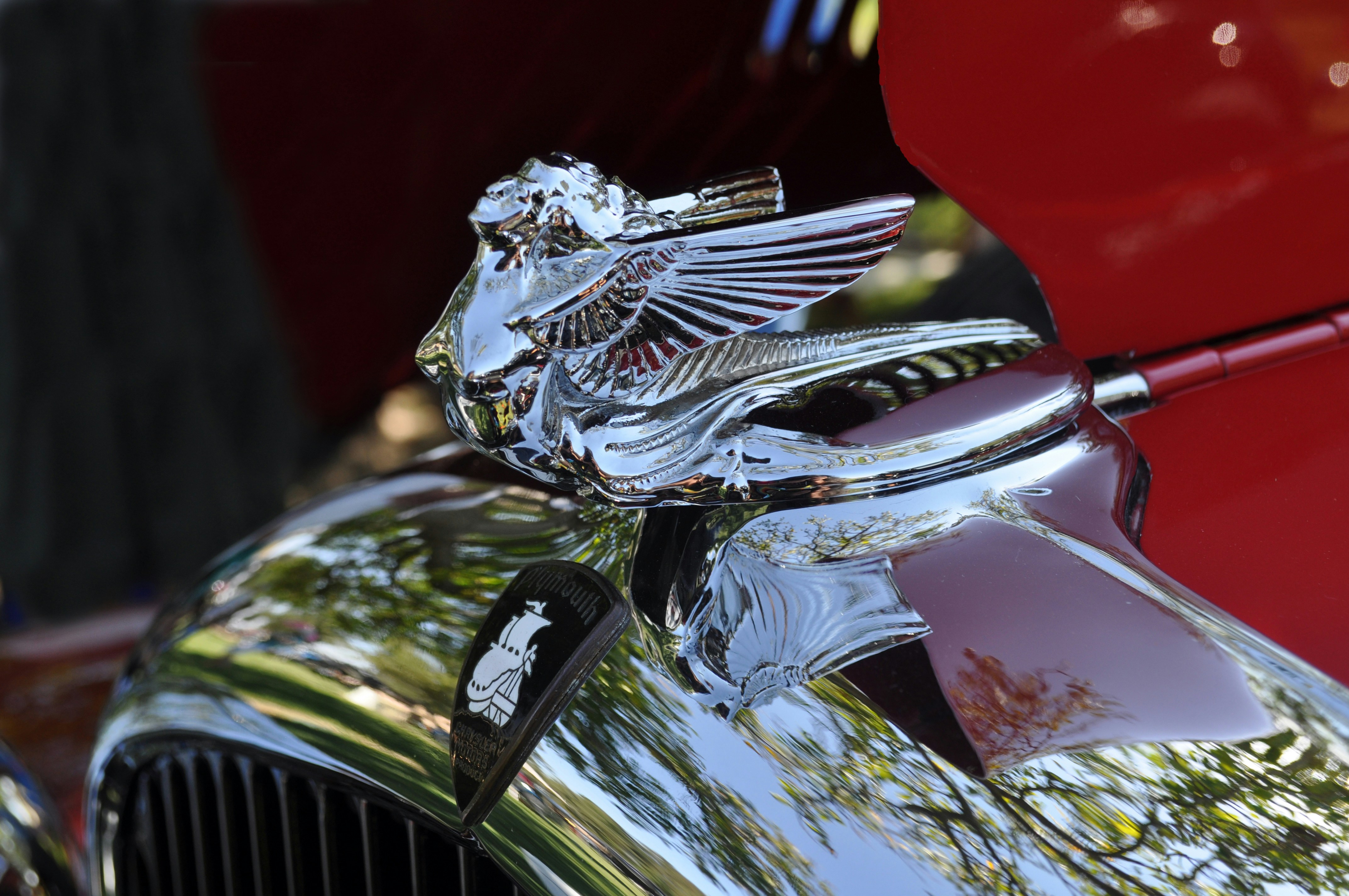 I attended a car show and was captivated by this classic lady.