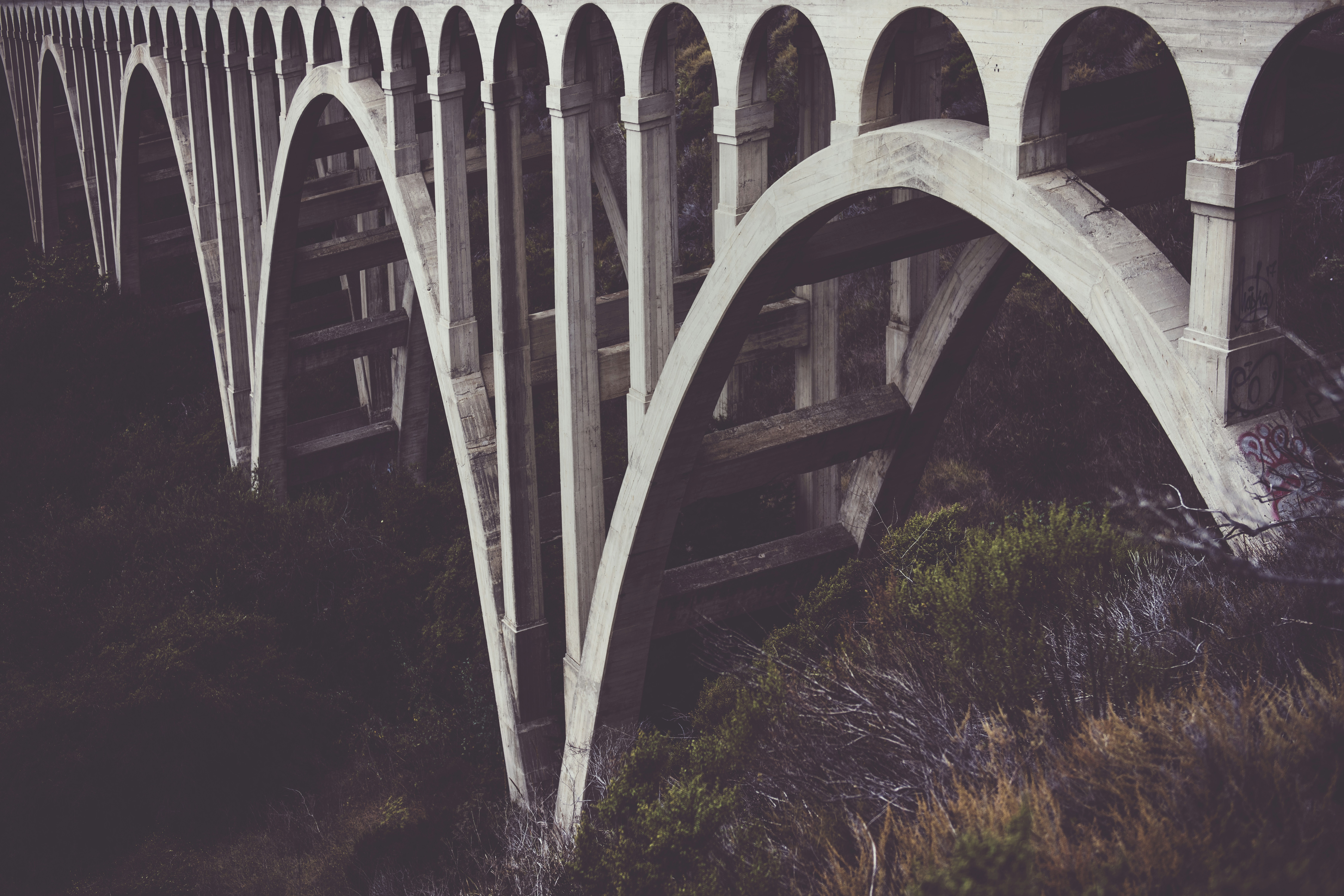 Concrete bridge arches gracefully supporting the structure above, surrounded by lush vegetation. The interplay of light and shadow enhances the architectural details.