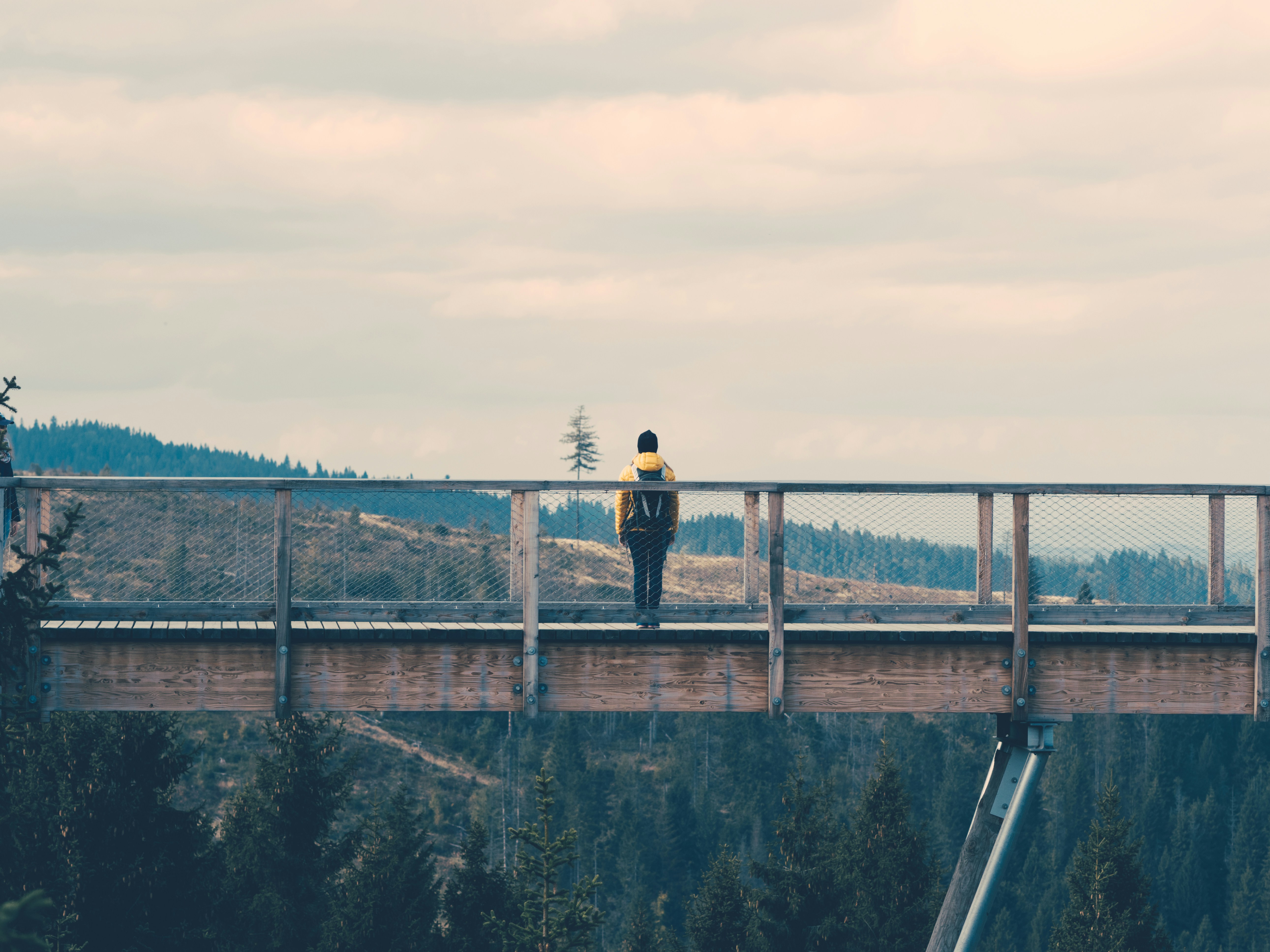 Solitary Contemplation on the Elevated Walkway