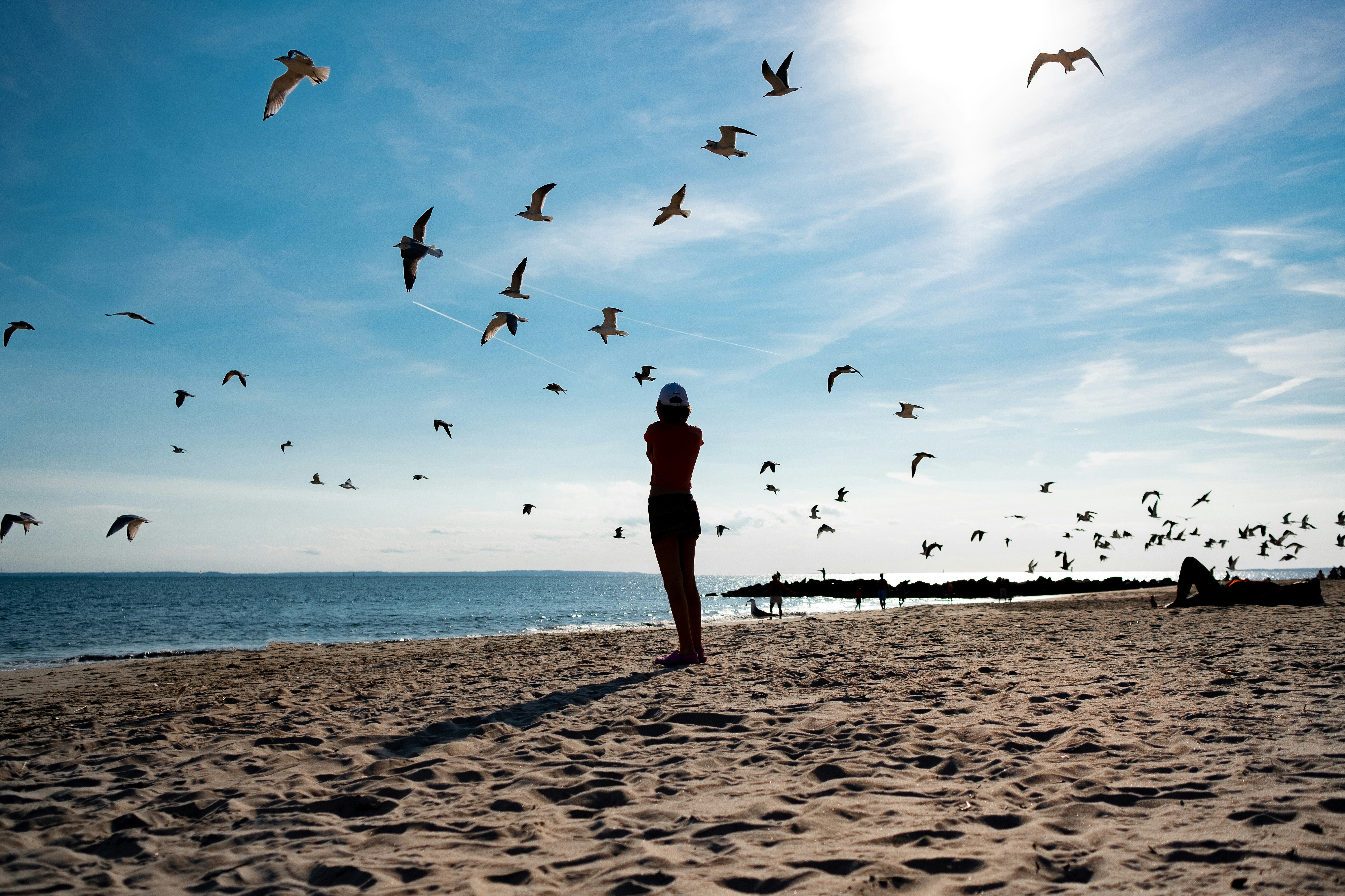 Matteo Catanese (@matteocatanese) | Unsplash Photo Community