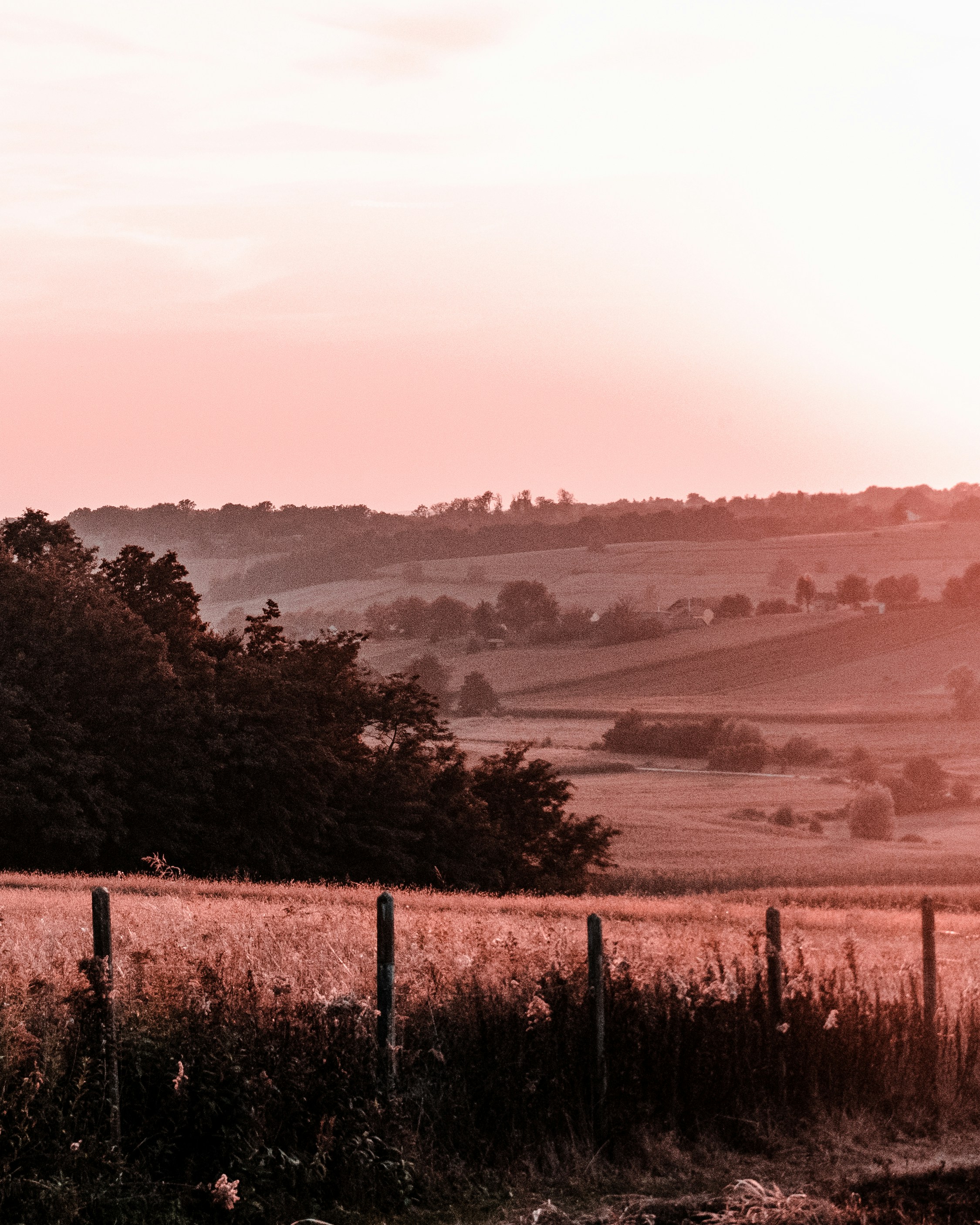 Pathway near fields during daytime photo – Free Croatia Image on Unsplash