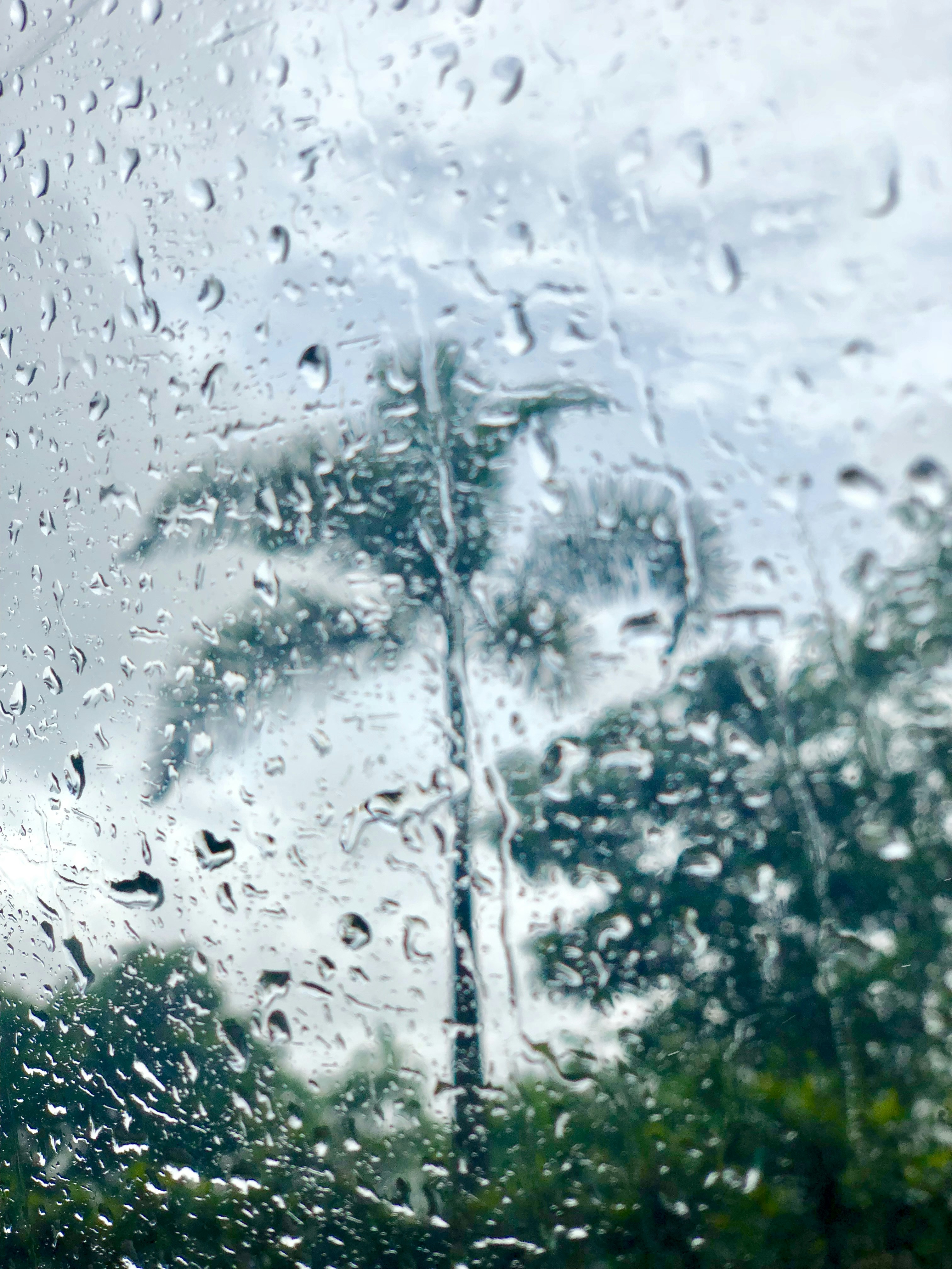 RAIN | 3 best free rain, drop, droplet and grey photos on Unsplash