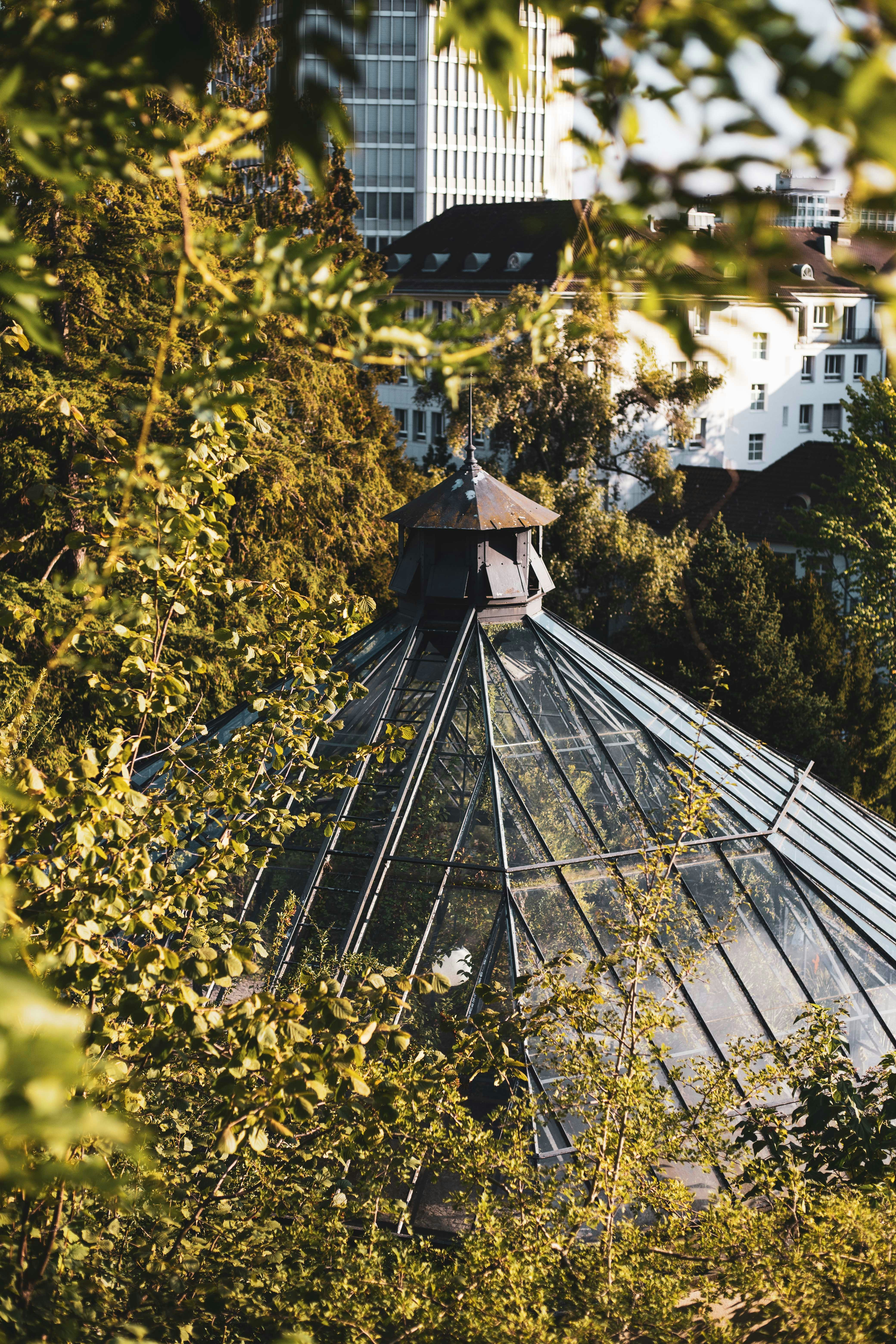City Canopy Over Glass: A Dome Surrounded by Leaves and Urban Silhouettes