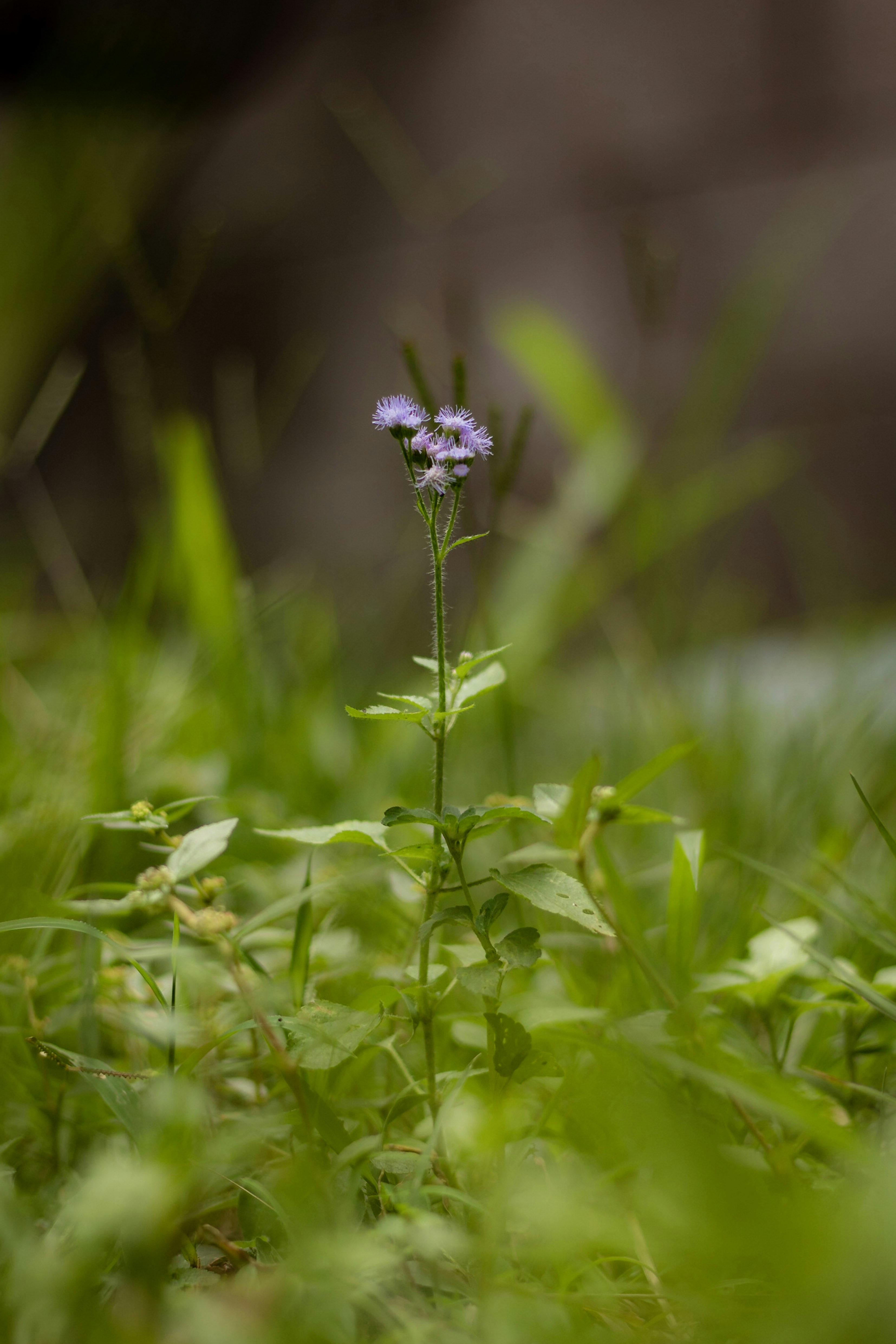 Erick Cerritos (@eroneko11) | Comunidad de fotos de Unsplash