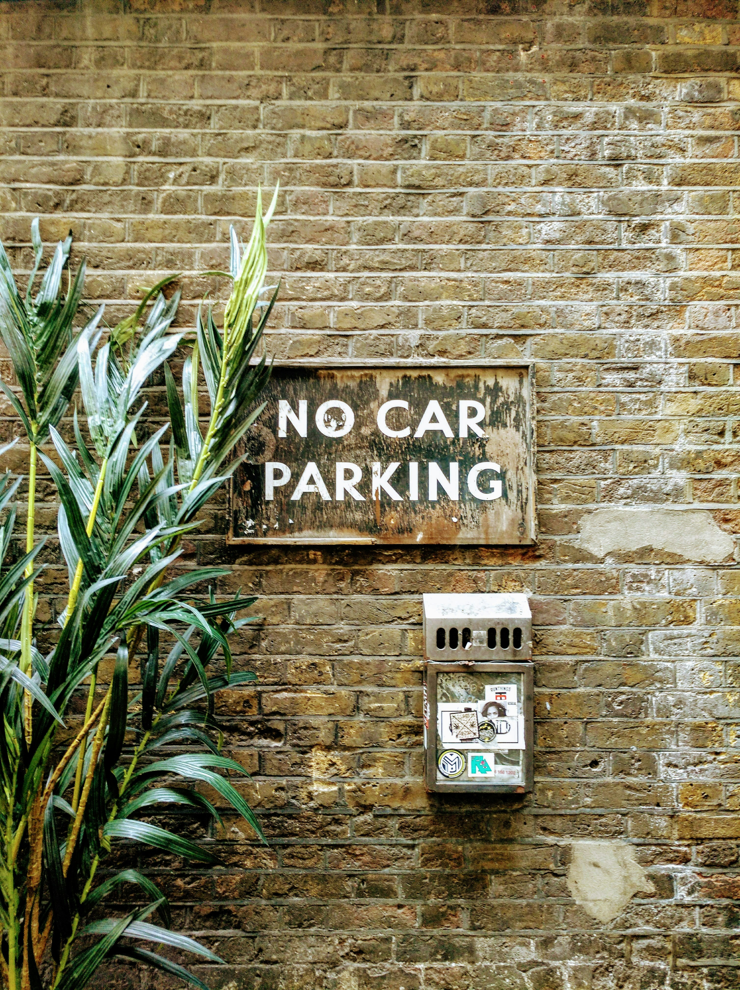 Weathered 'No Car Parking' sign on a brick wall beside lush green leaves.