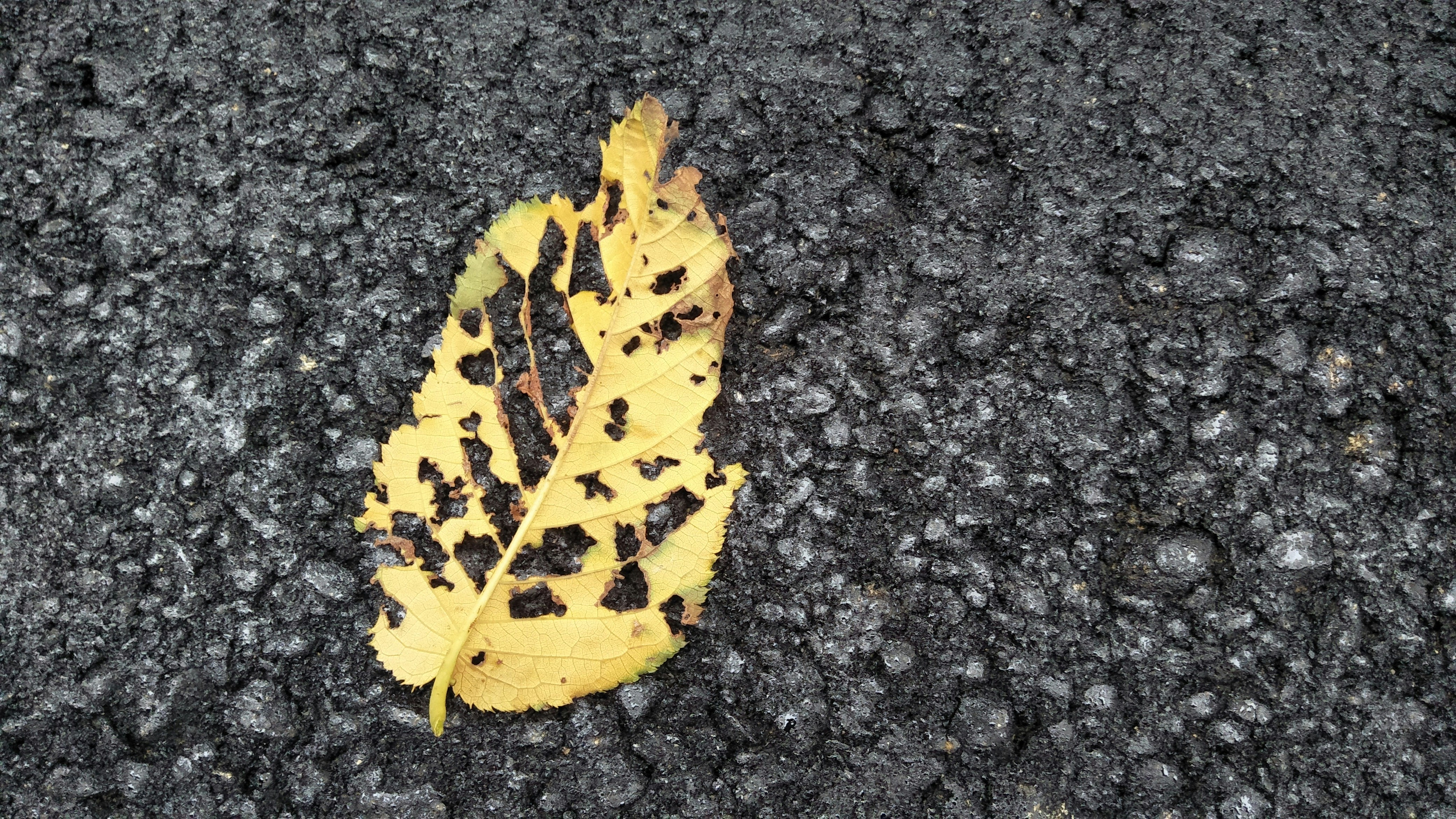 Asia Chang (@asiachang) | Comunidade de fotos da Unsplash