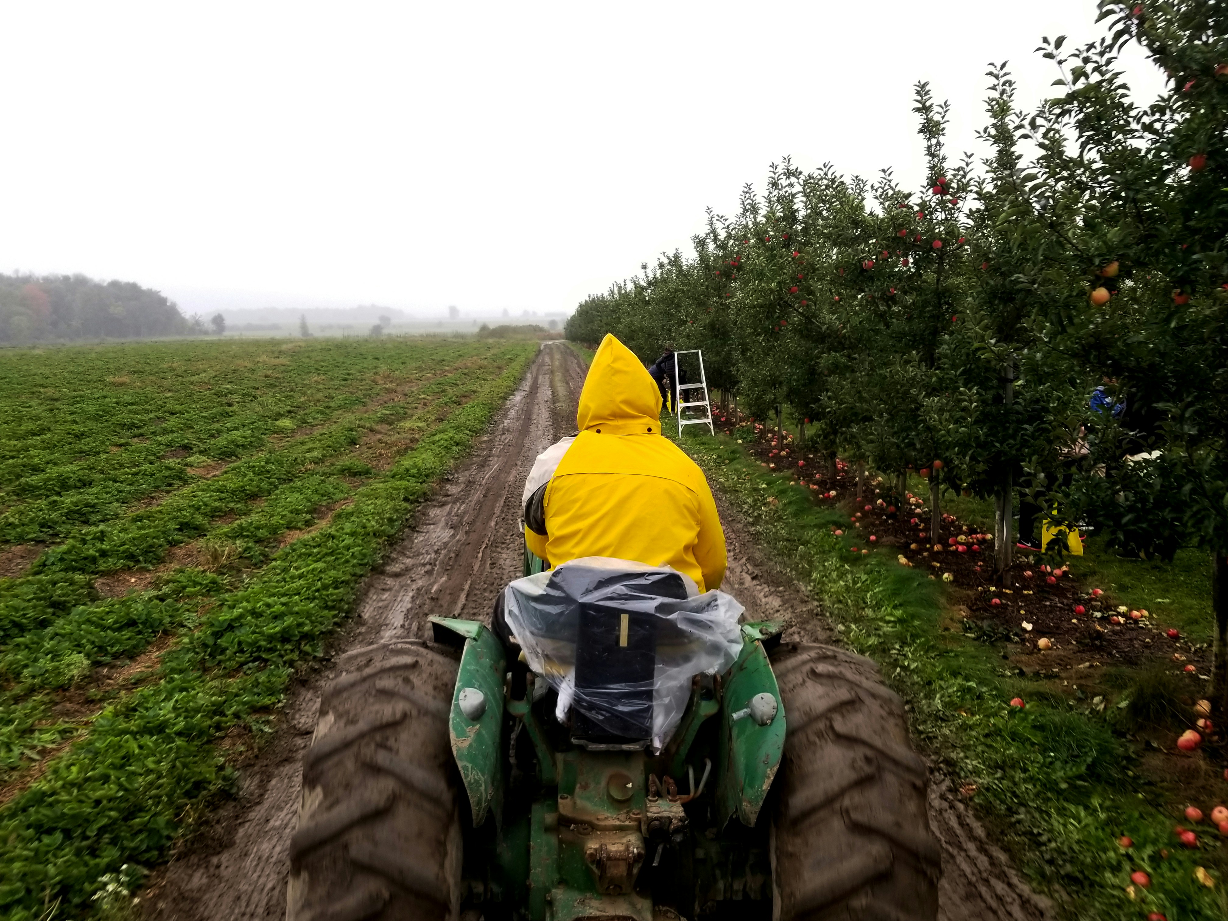 Man riding tractor traveling road between plants during daytime photo ...