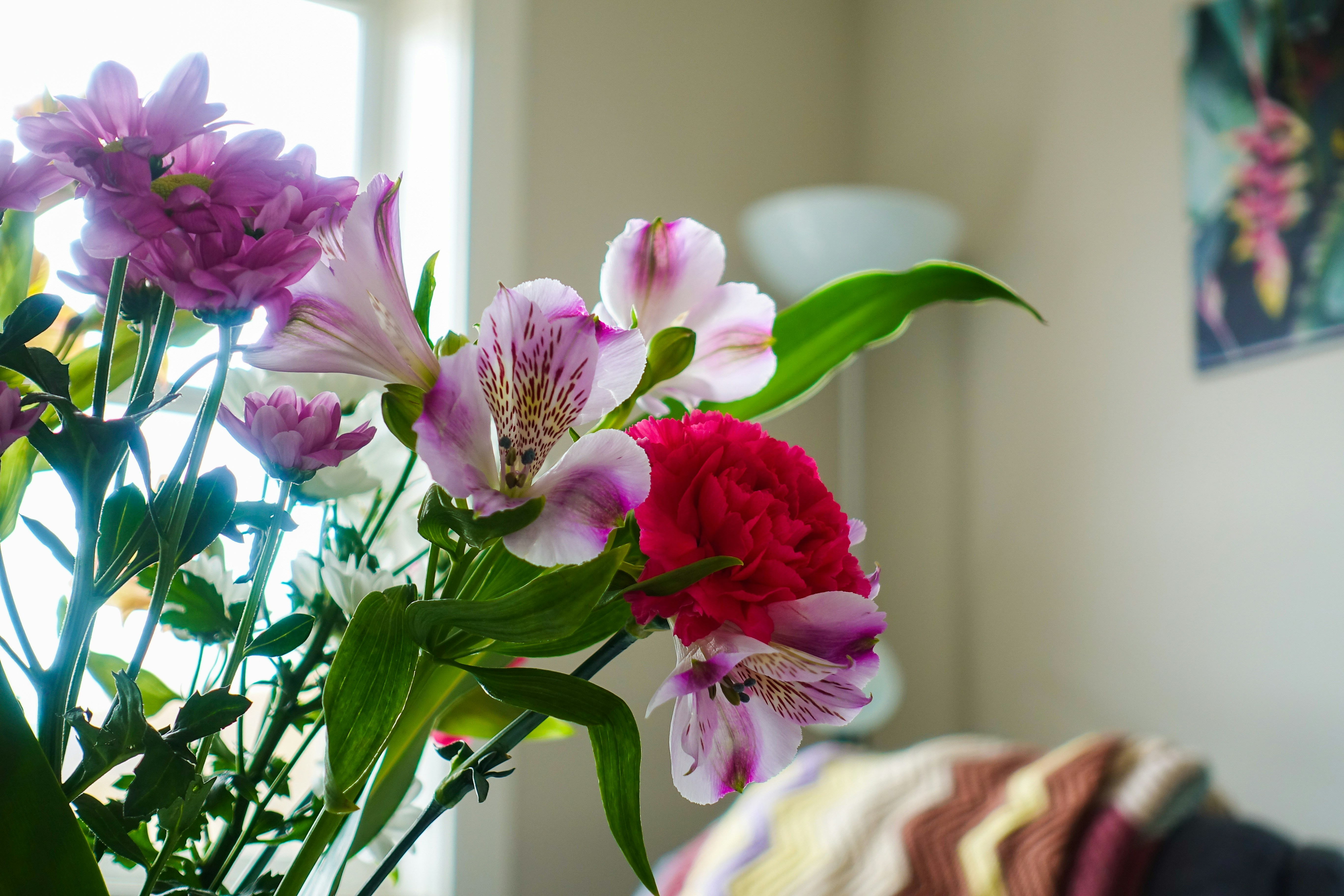 jasper guy (@jasperguy) | Unsplashフォトコミュニティ