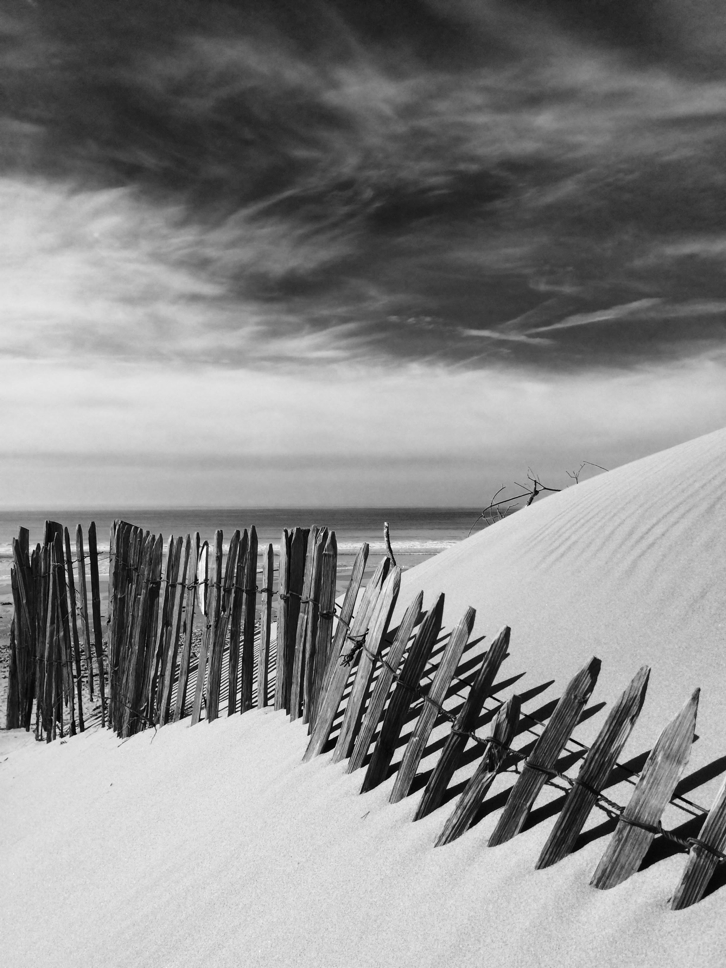 Driftwood Ridge: A Sea-Salted Fence Descends into Dunes