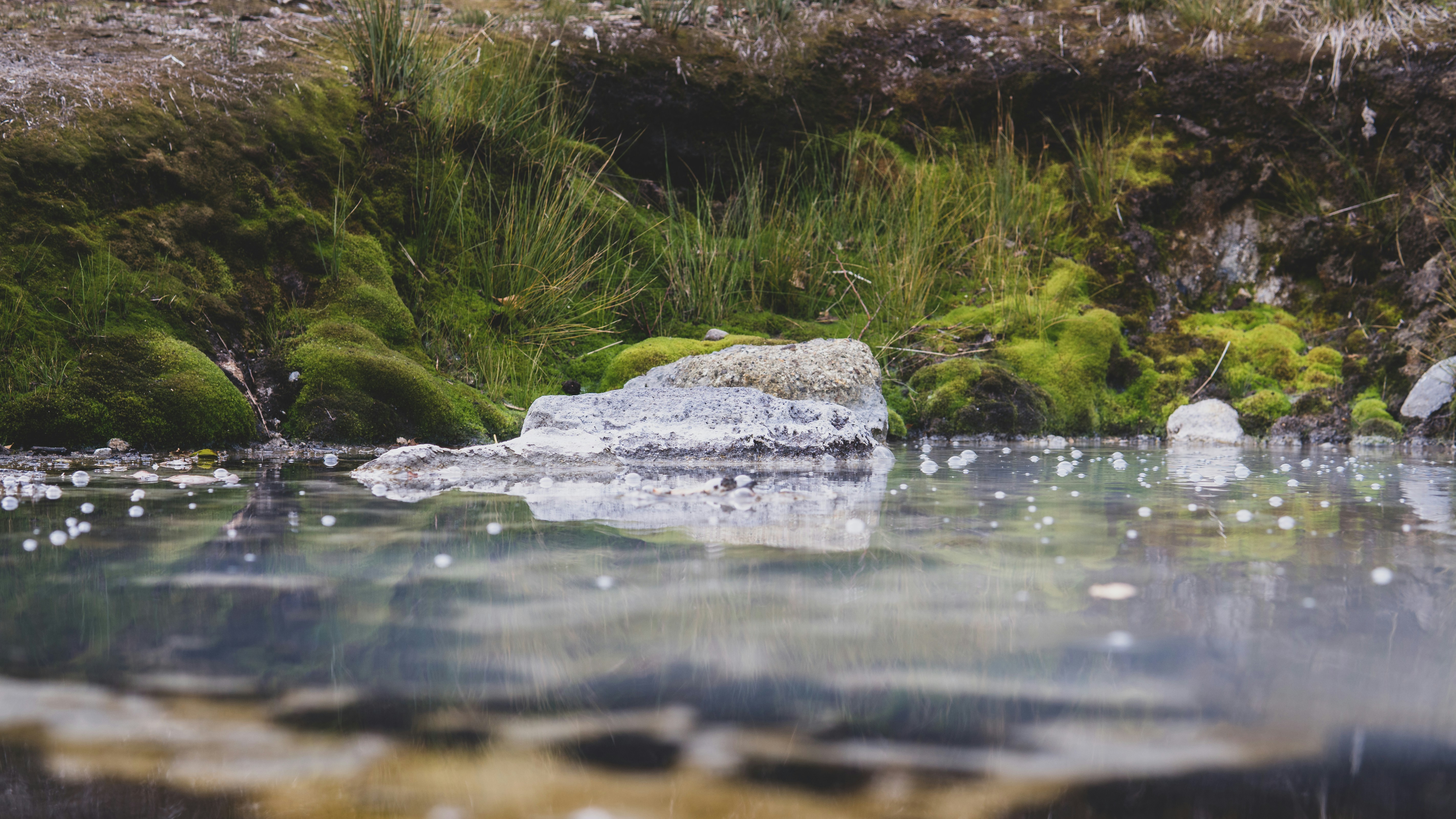 A small pond surrounded by rocks and grass photo – Free Grey Image on ...
