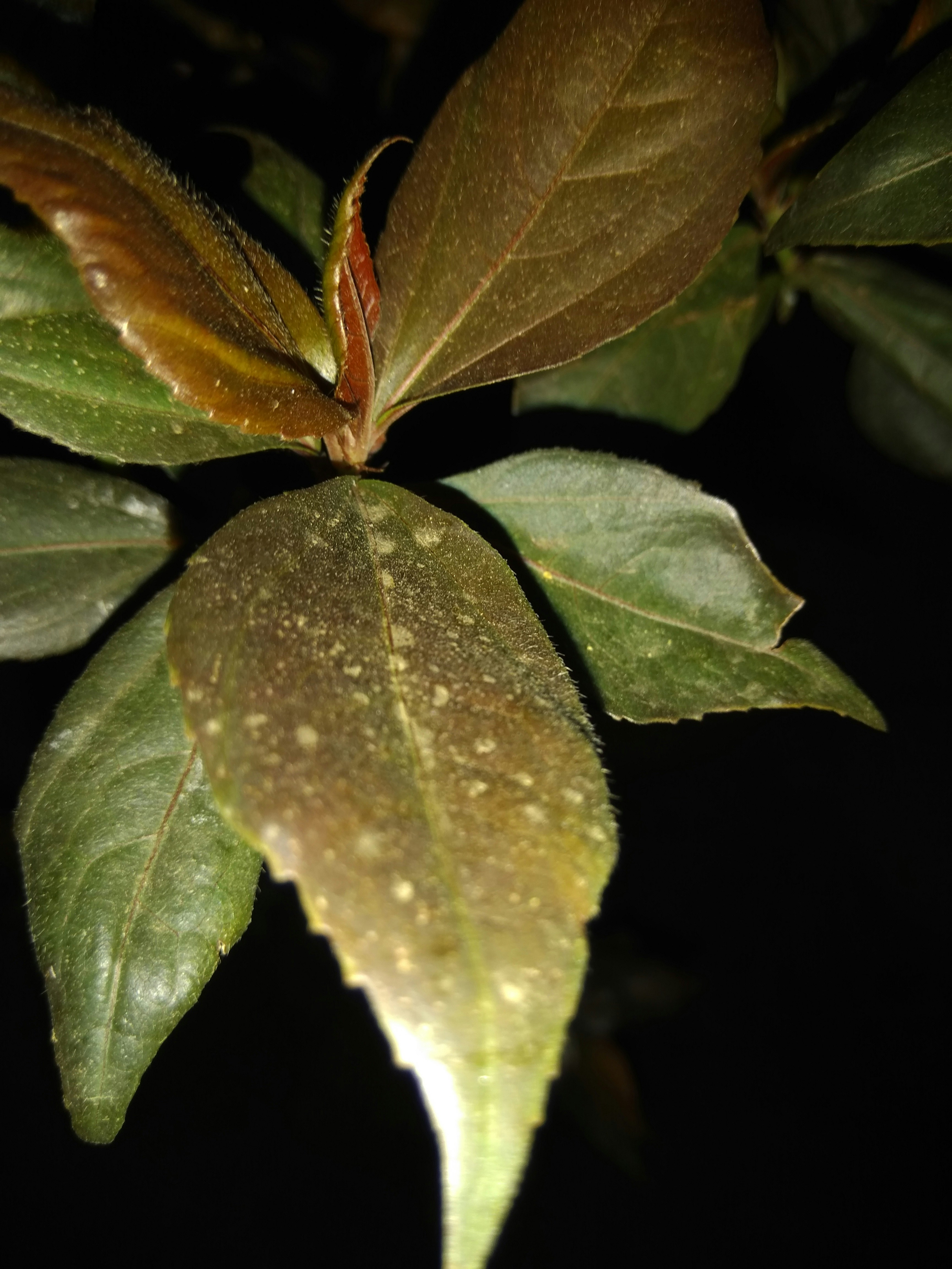 RD May Gonzaga (@yamrdpurpleyiee) | Unsplash Photo Community