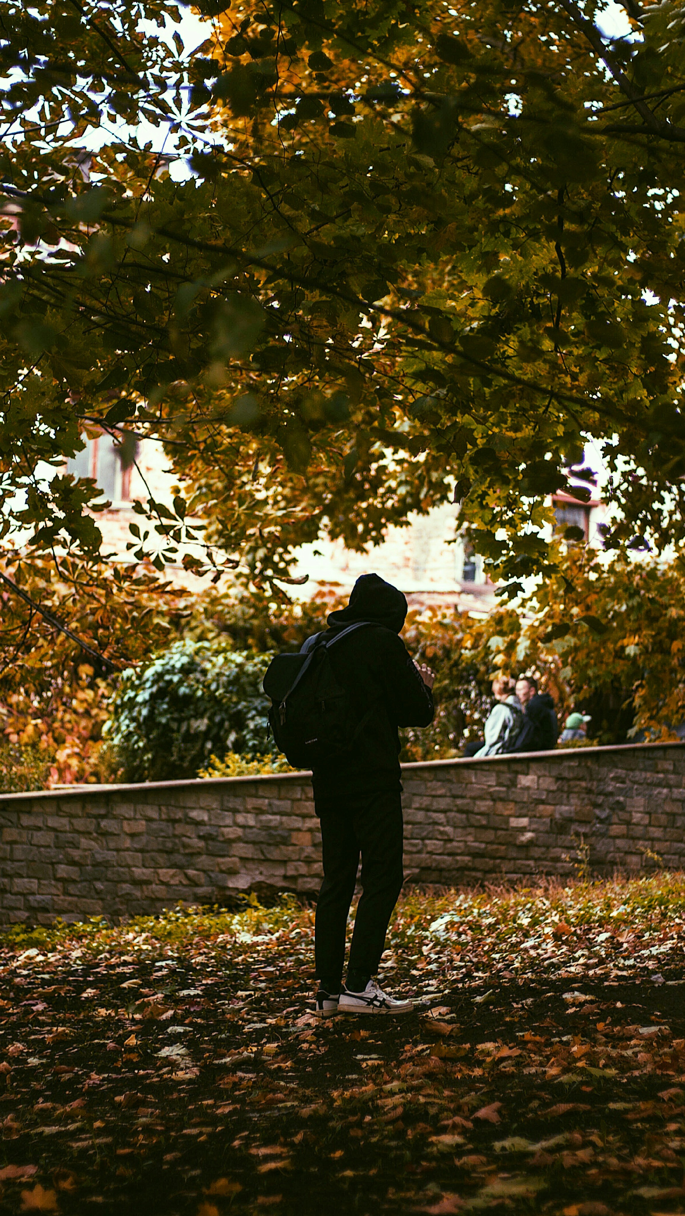 Man wearing red hoodi photo – Free Person Image on Unsplash