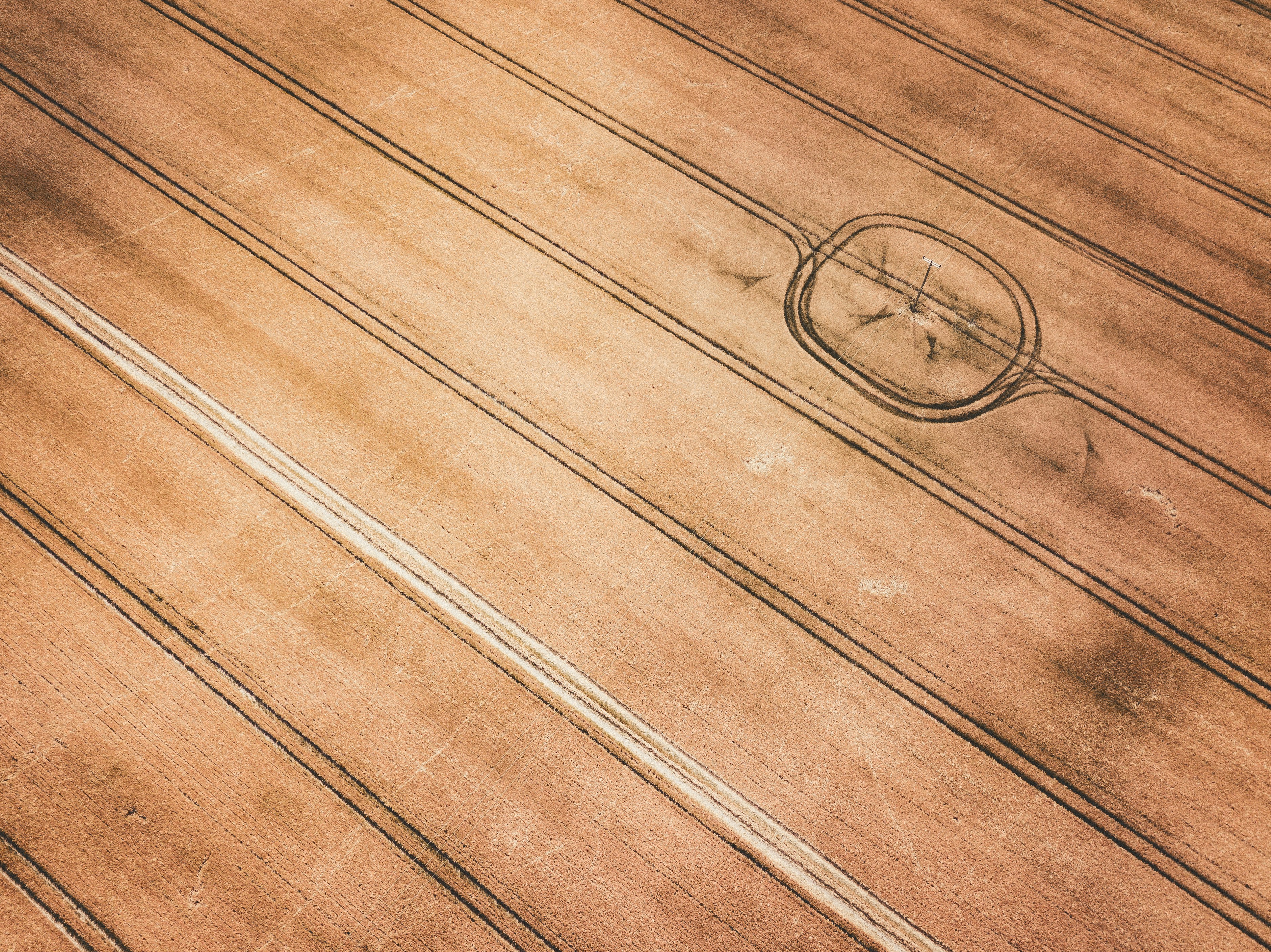 Dusty field lines meet a circular feature