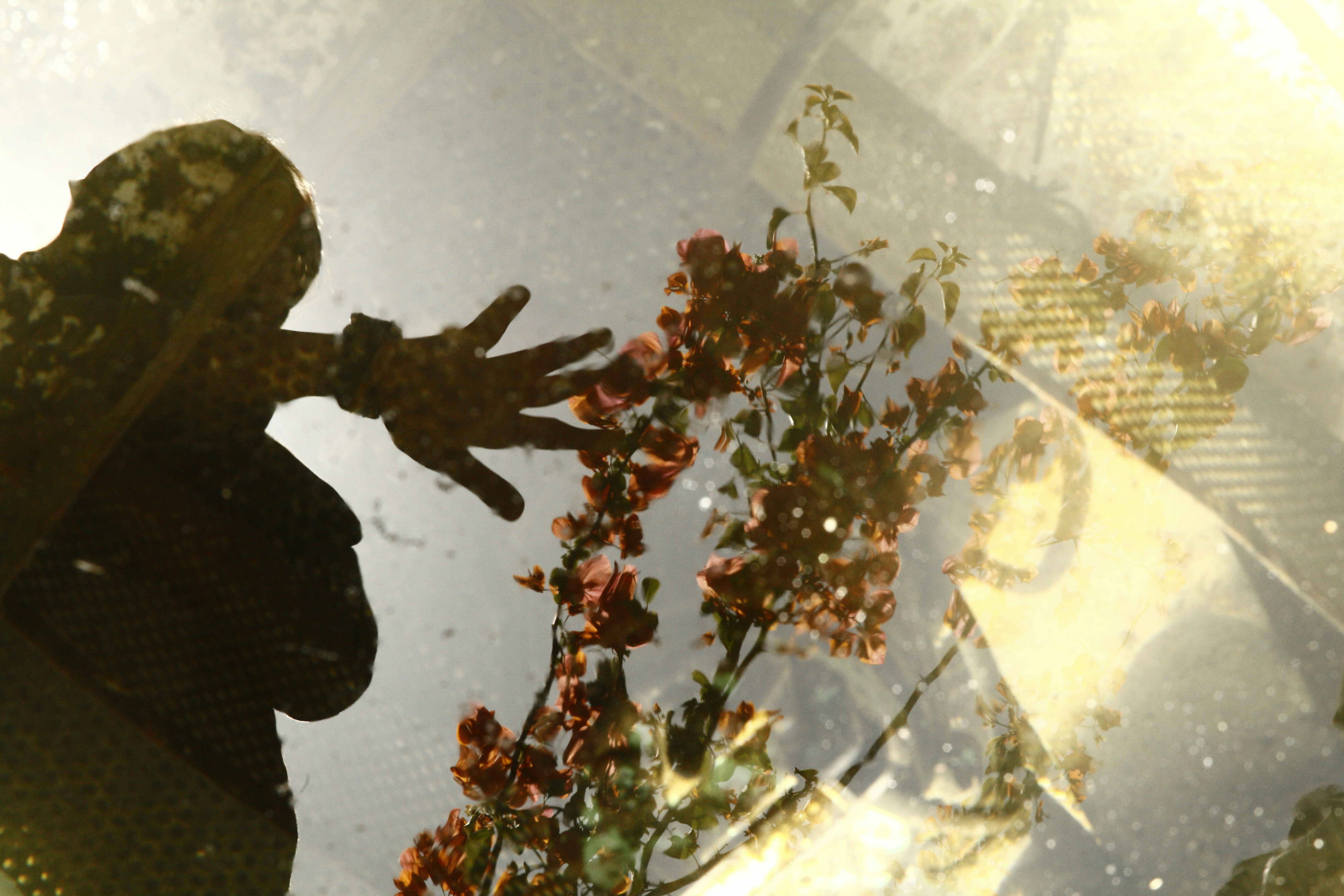 Foroozan Faraji (@foroozanfaraji) | Unsplash Photo Community