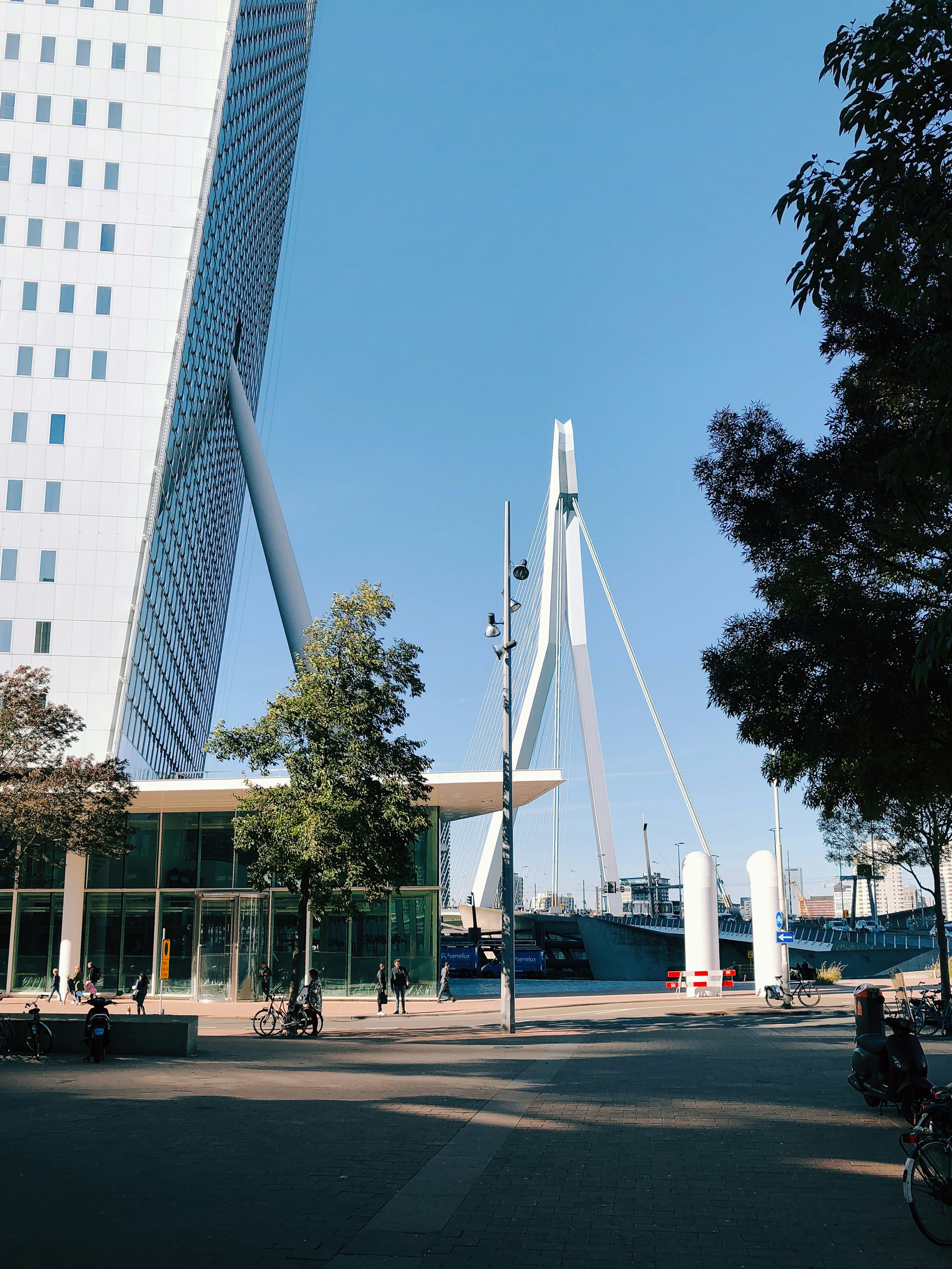 A contemporary building with a striking façade stands beside a bridge, framed by trees and a clear blue sky.