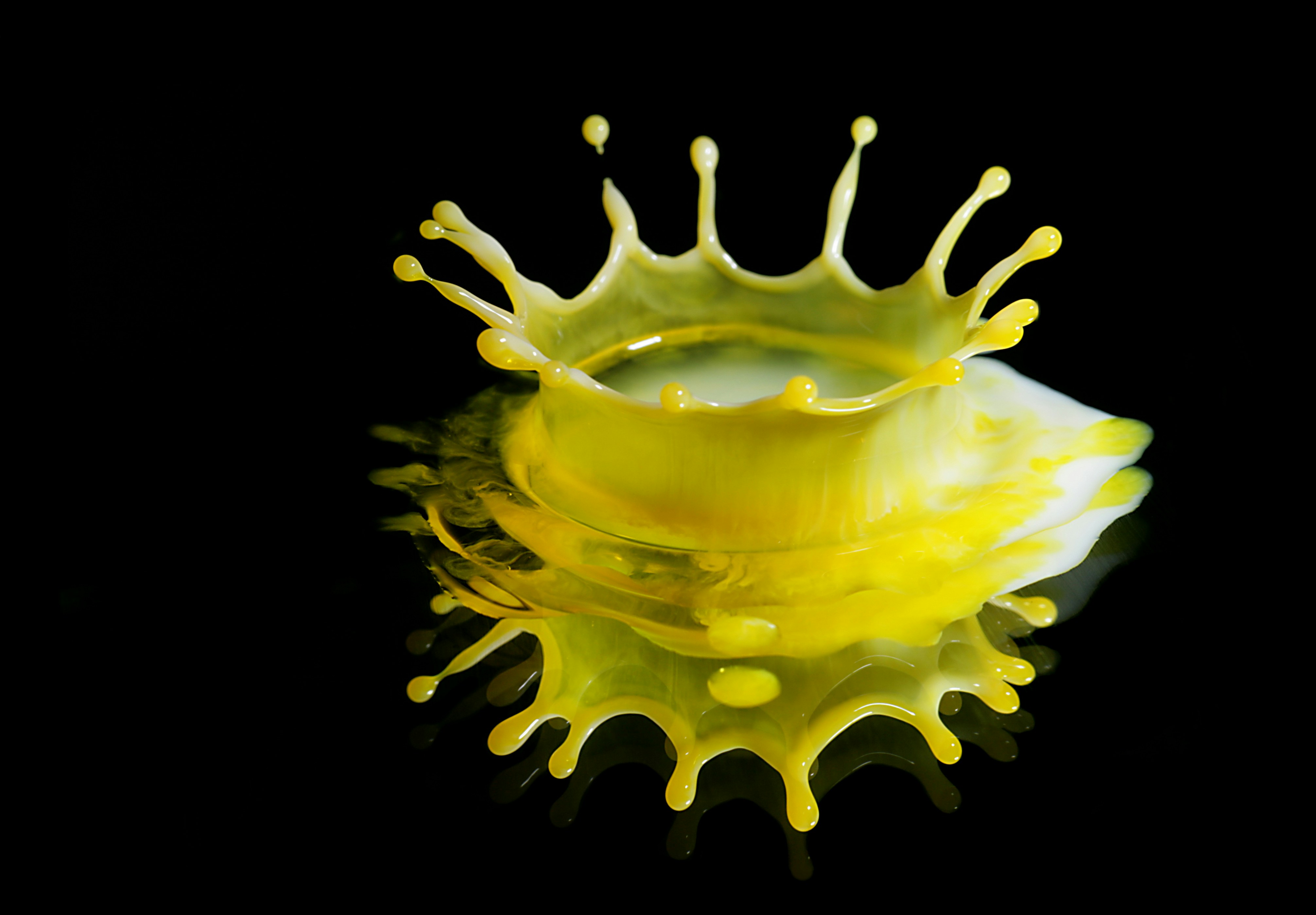 Splash