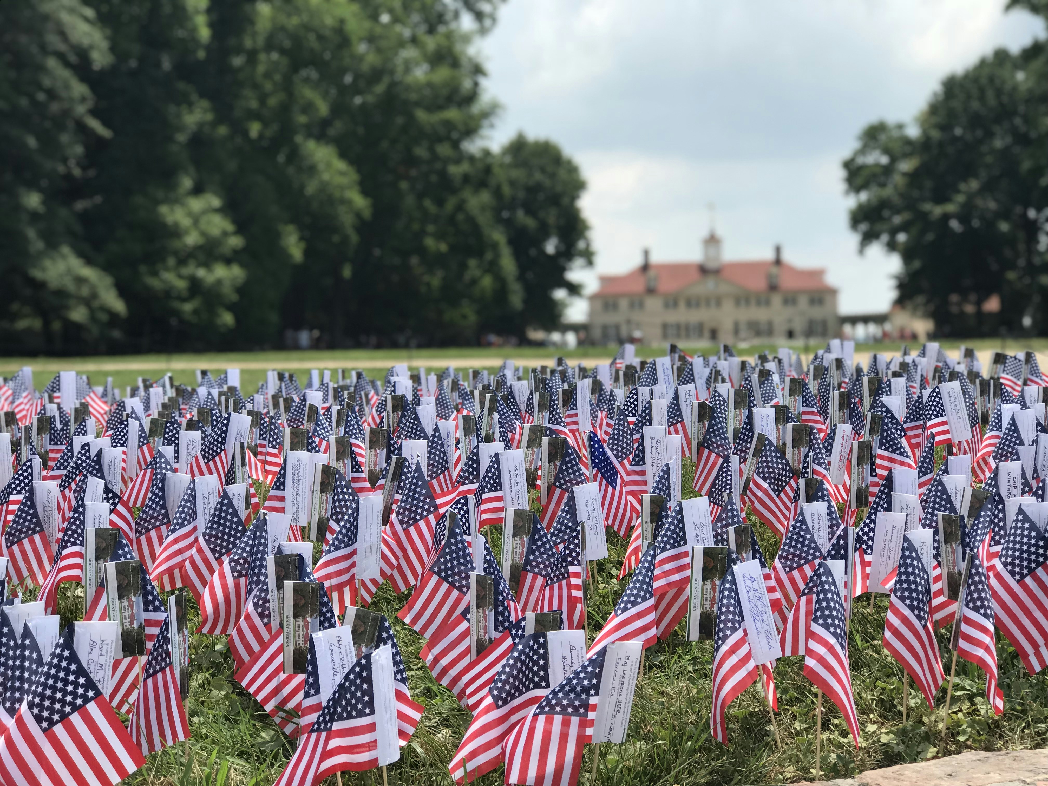 U.S.A. flaglets on grass field photo – Free Building Image on Unsplash