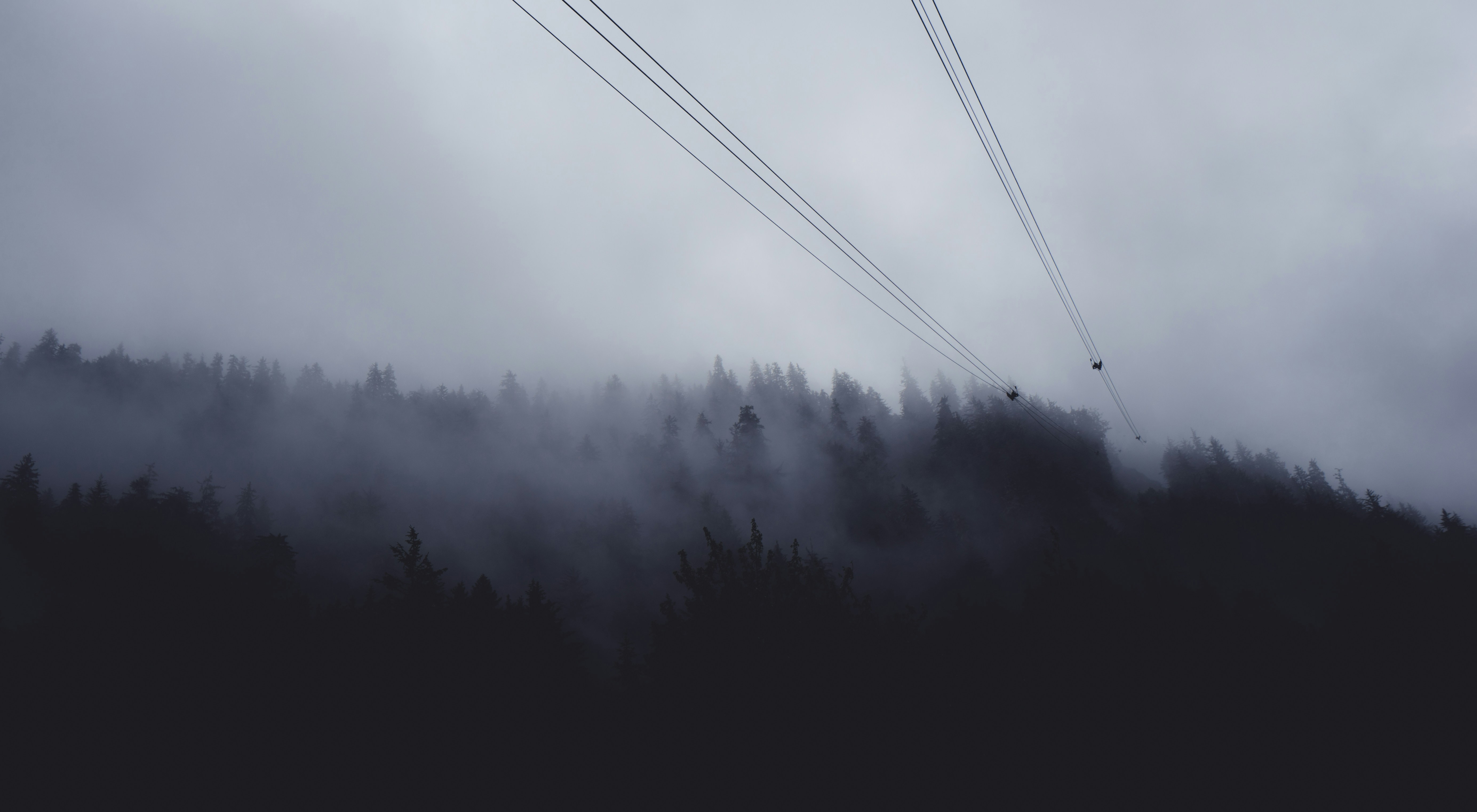Cable cars traverse through a dense fog over a dark, forested landscape, creating an ethereal atmosphere.