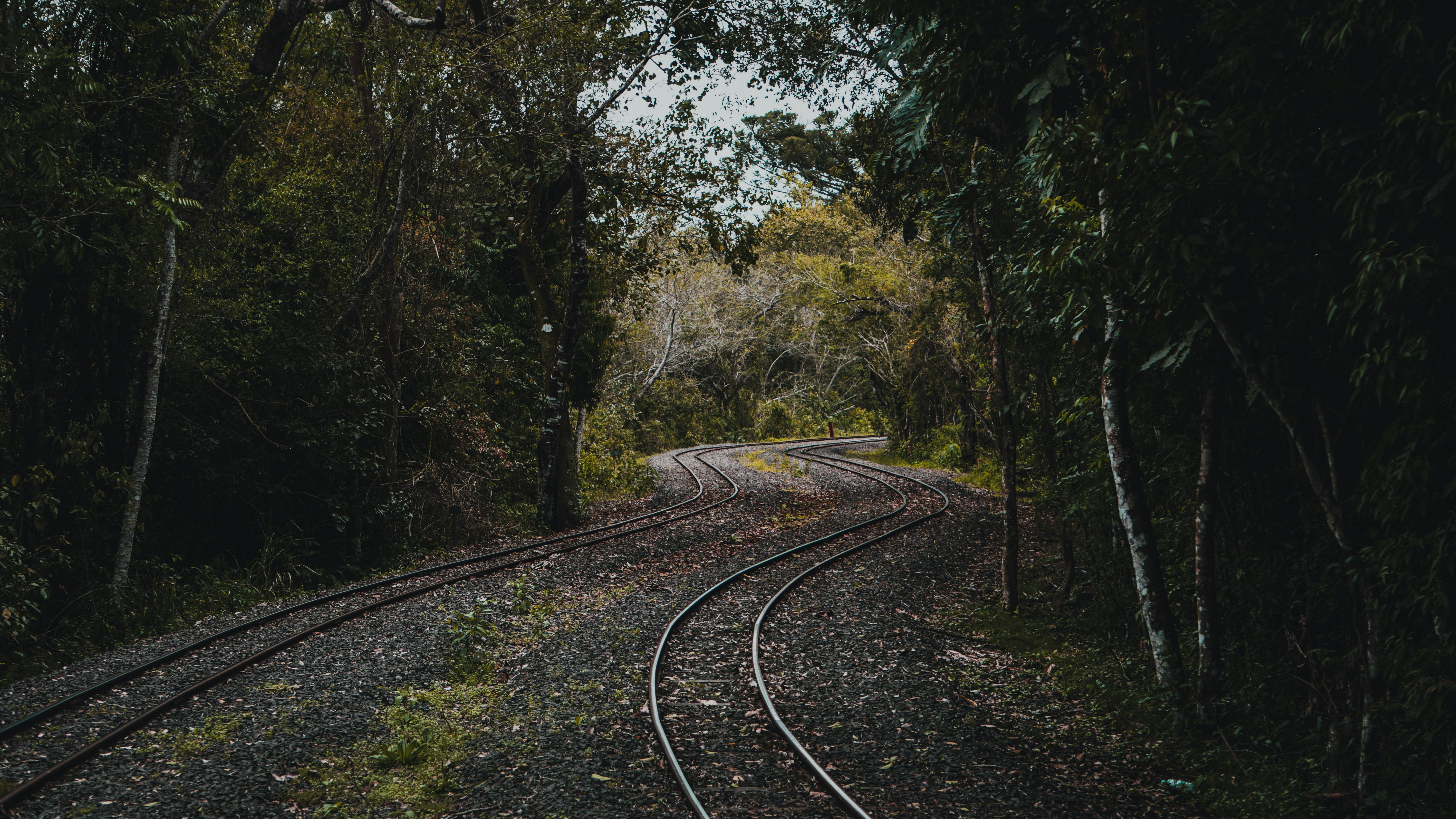 Empty train rails photo – Free Argentina Image on Unsplash