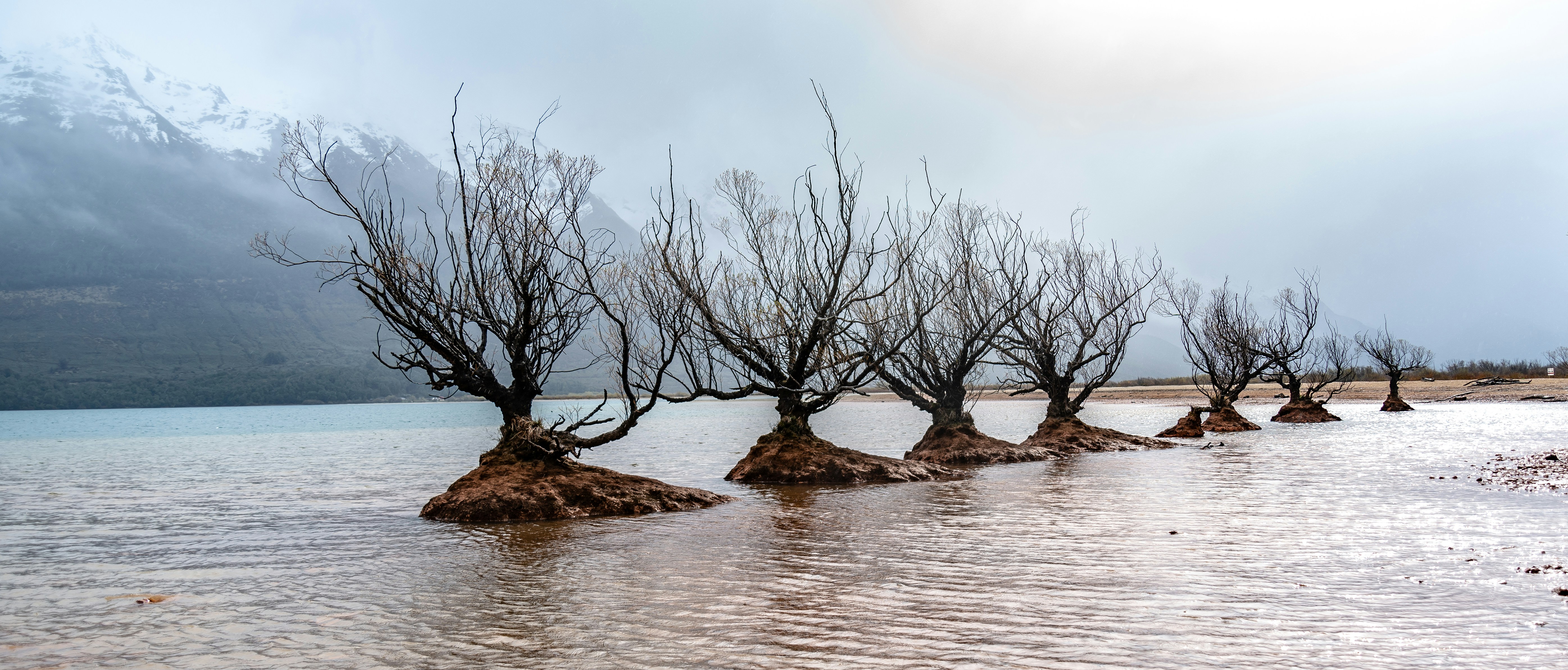 Graham Holtshausen (@freedomstudios) | Unsplash Photo Community
