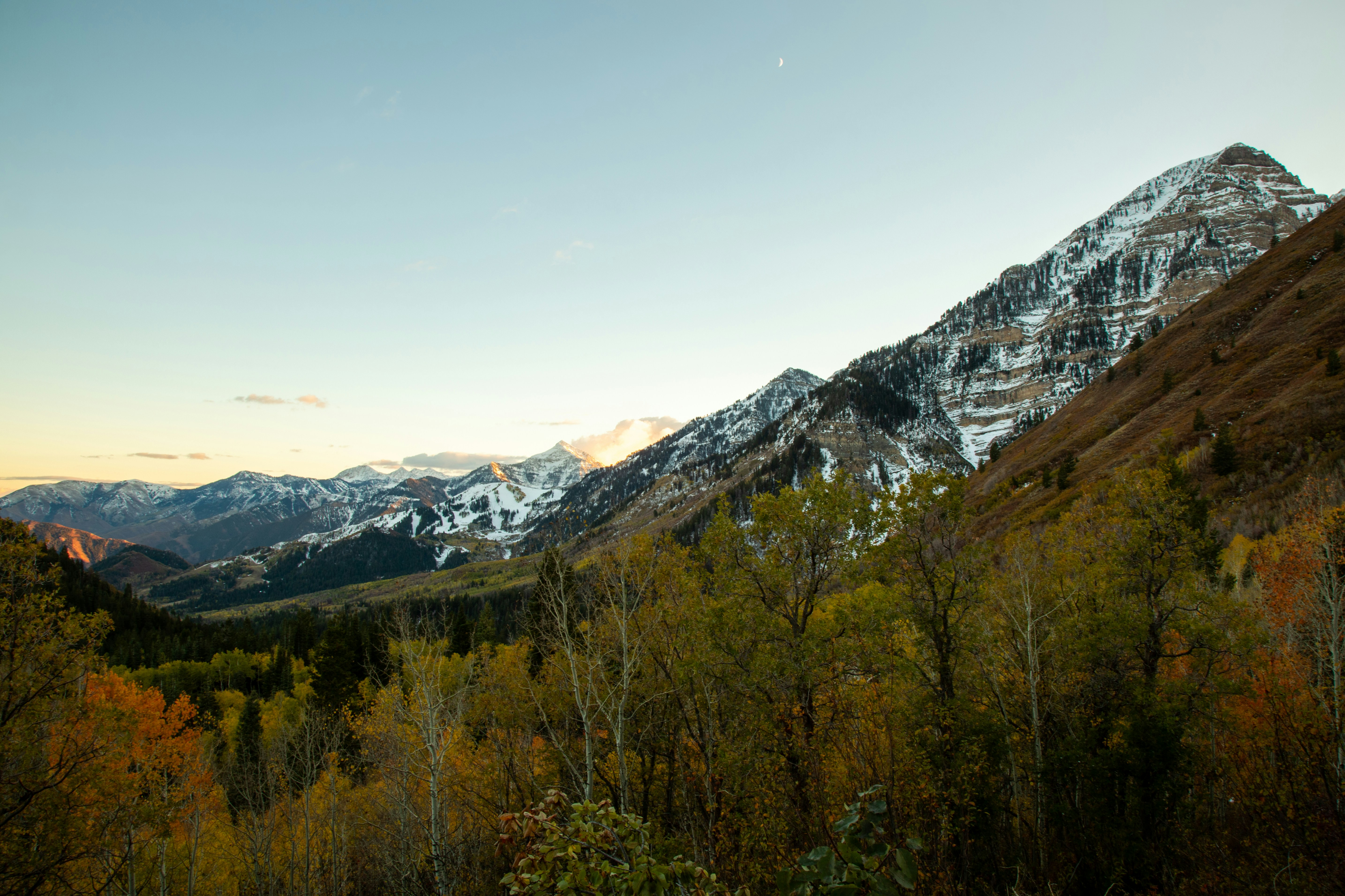 Snow-capped mountain peaks rise above a forest of golden autumn aspens at sunset.