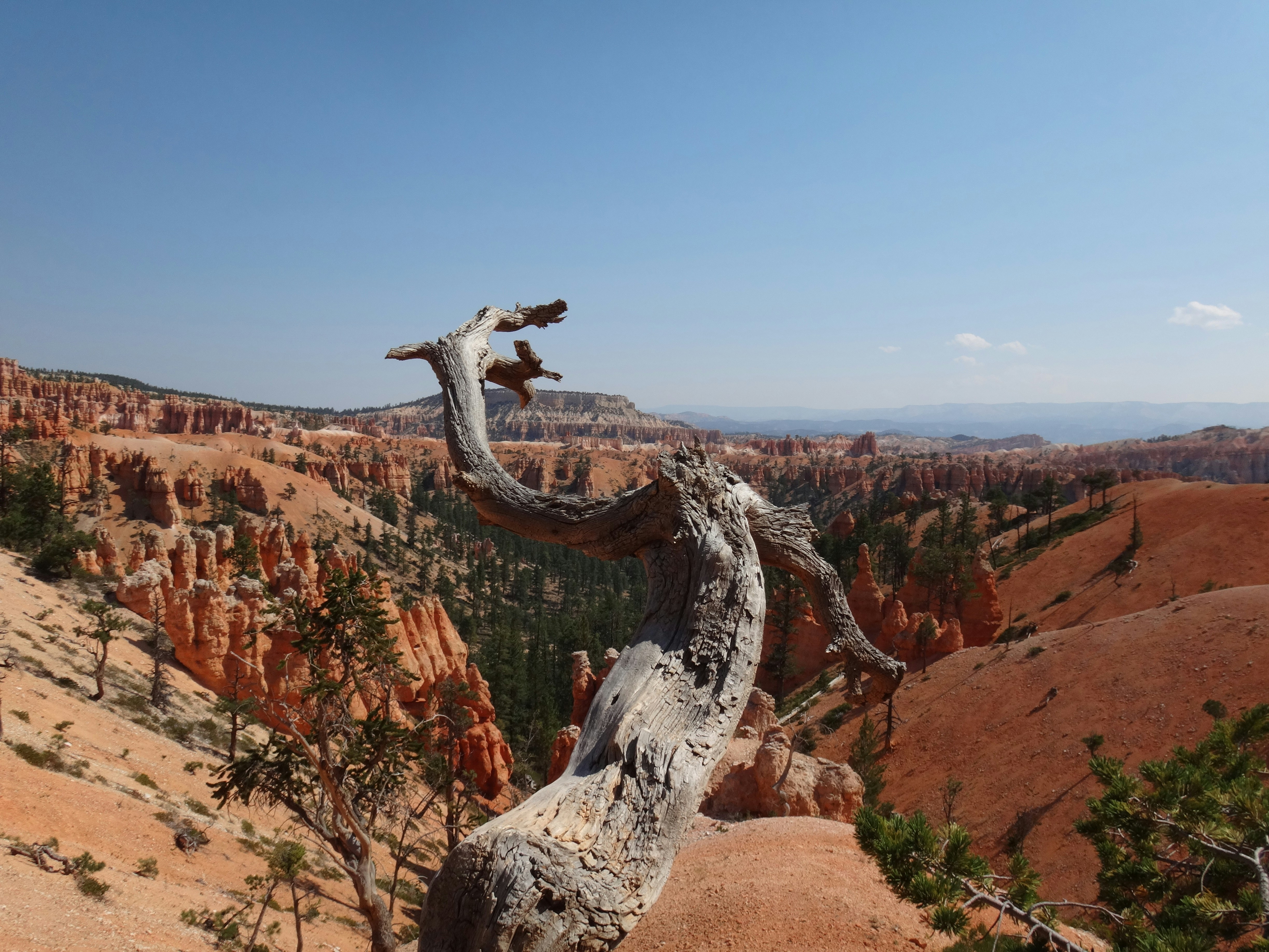 Arched Sentinel Over Ember Canyon