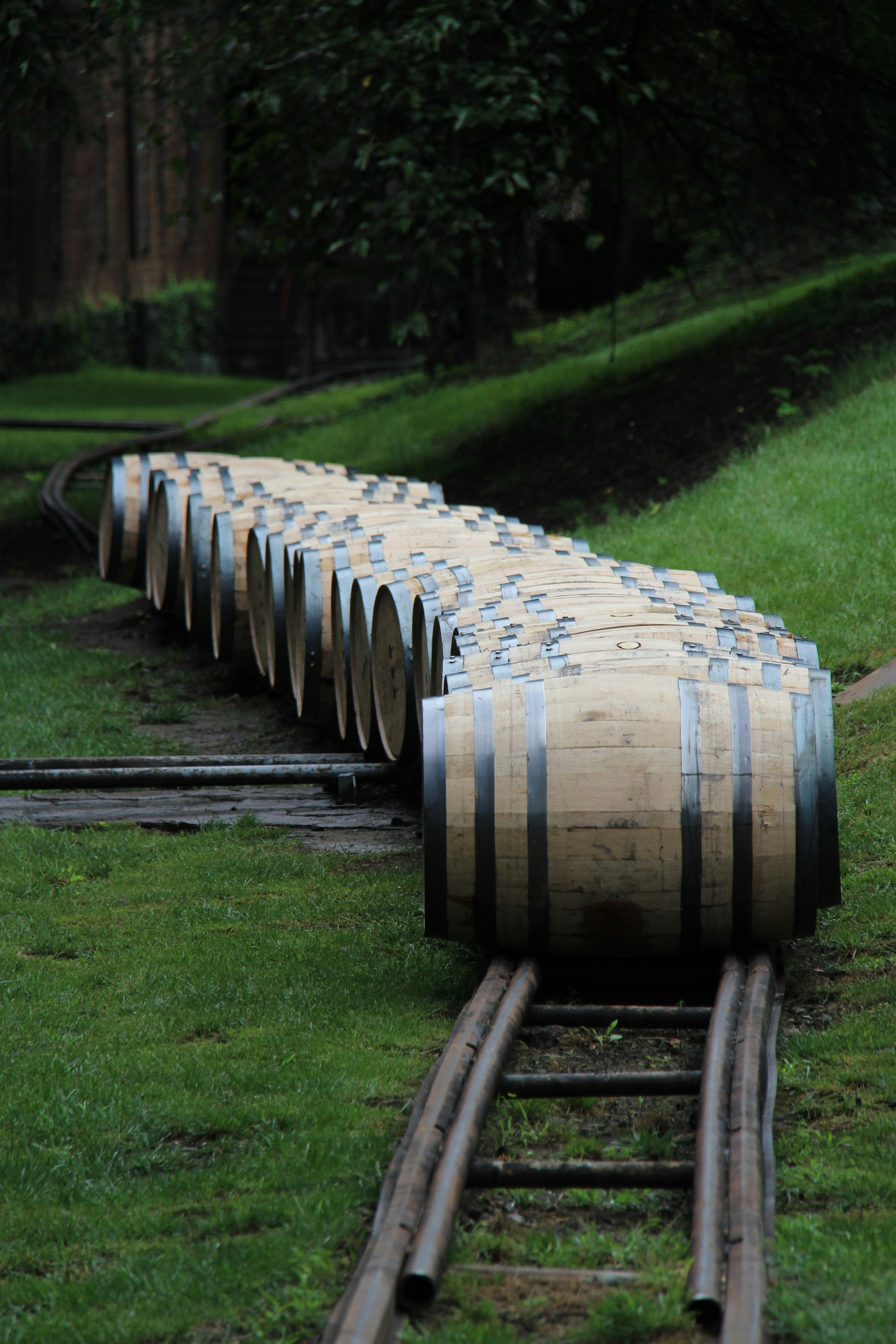 The Barrel Train: Oak Casks Unite on a Curved Rail