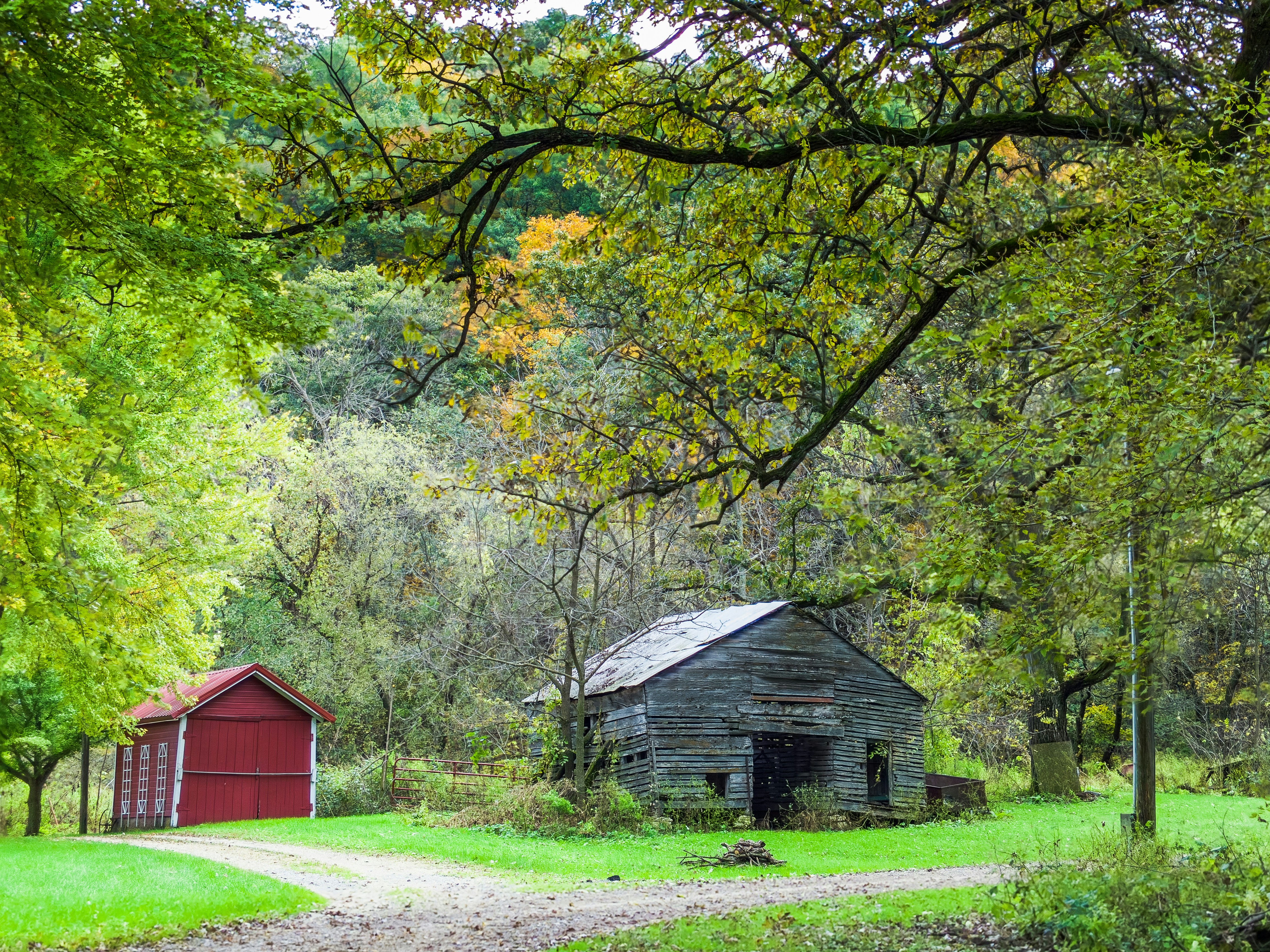 Red and gray wooden sheds surrounded by trees photo – Free 2316 siewers ...