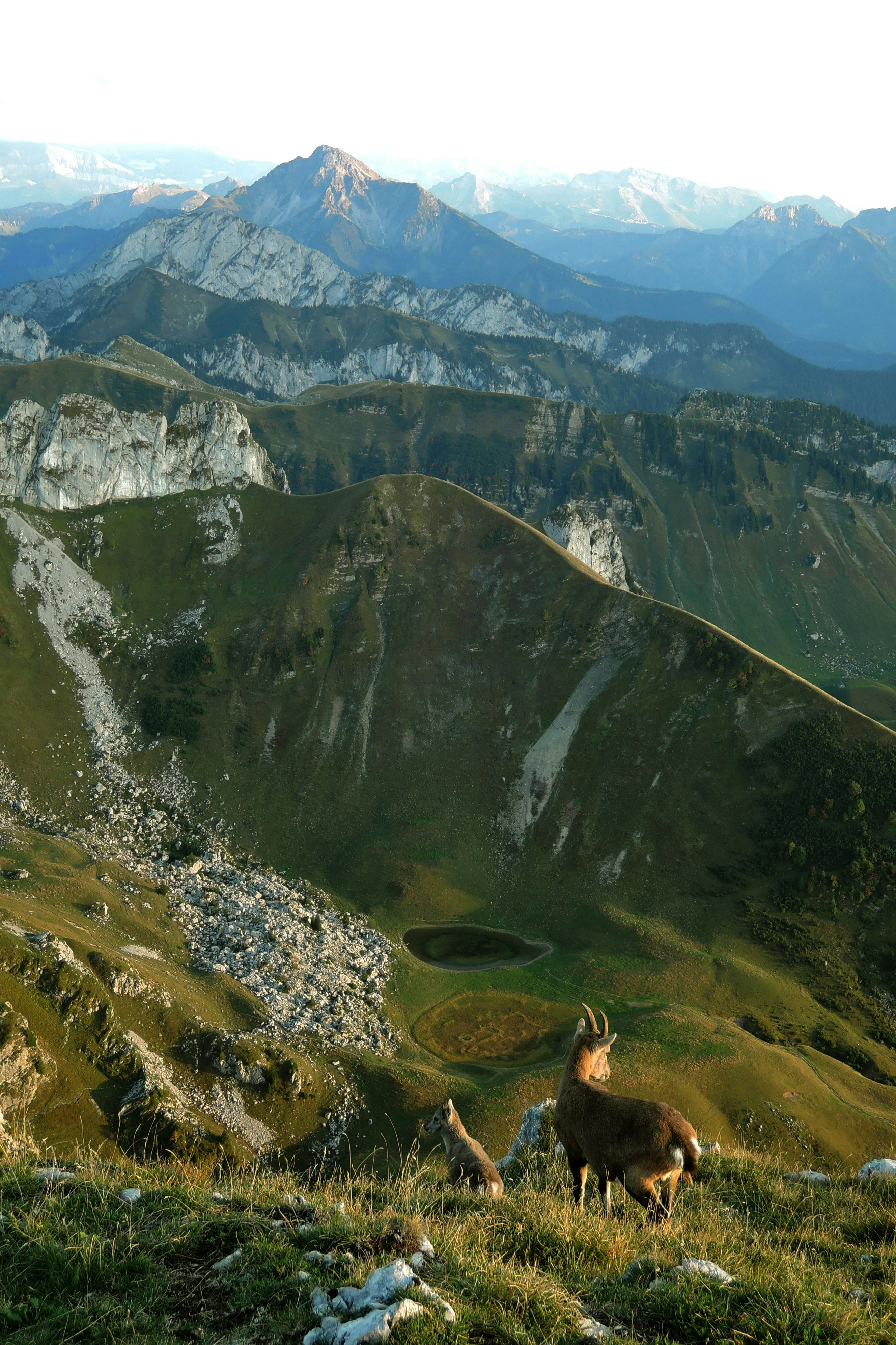 Définition de brèche-dent | Dictionnaire français