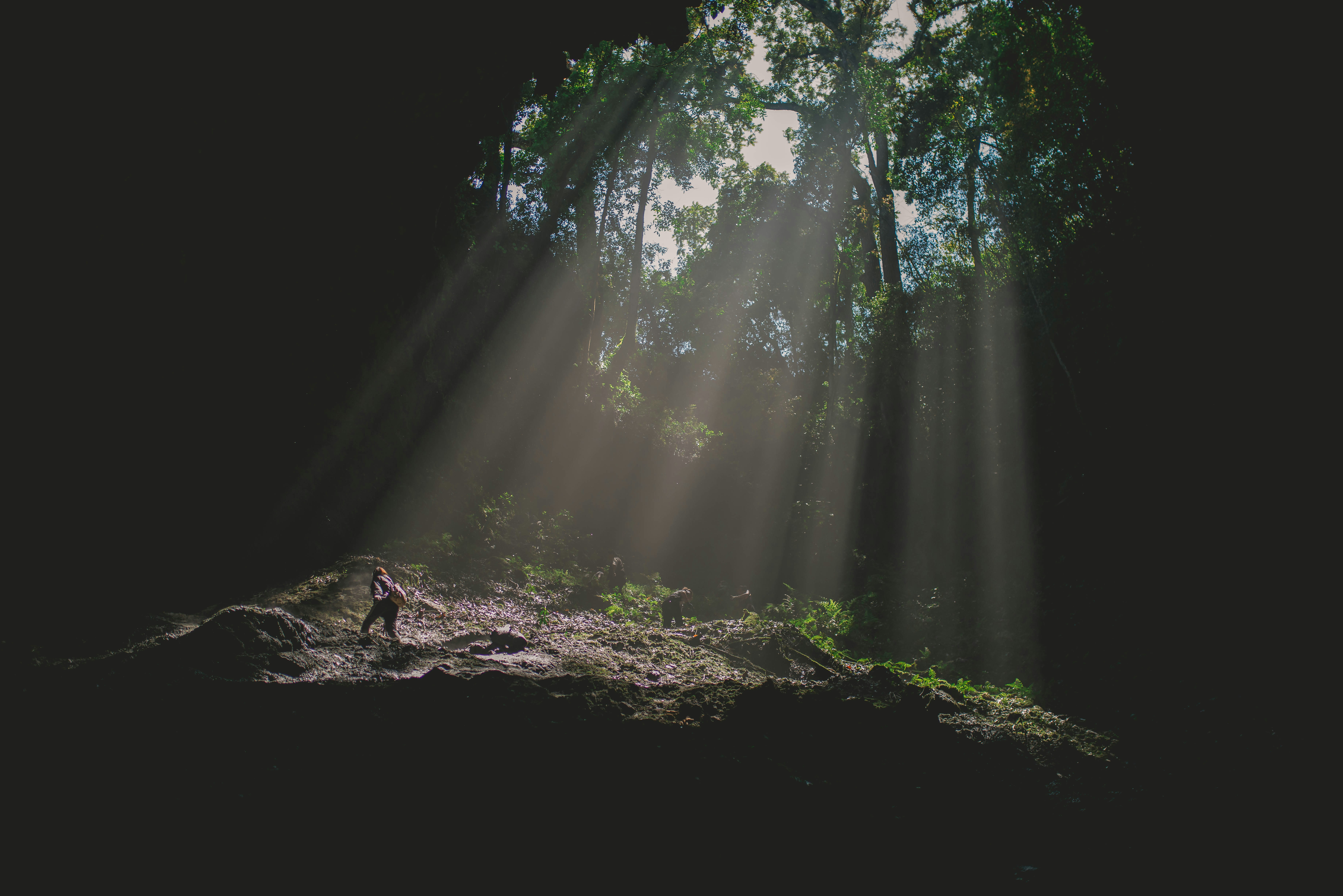 Raylit Solitude: A lone figure on a sunlit rocky ledge beneath a cathedral of trees