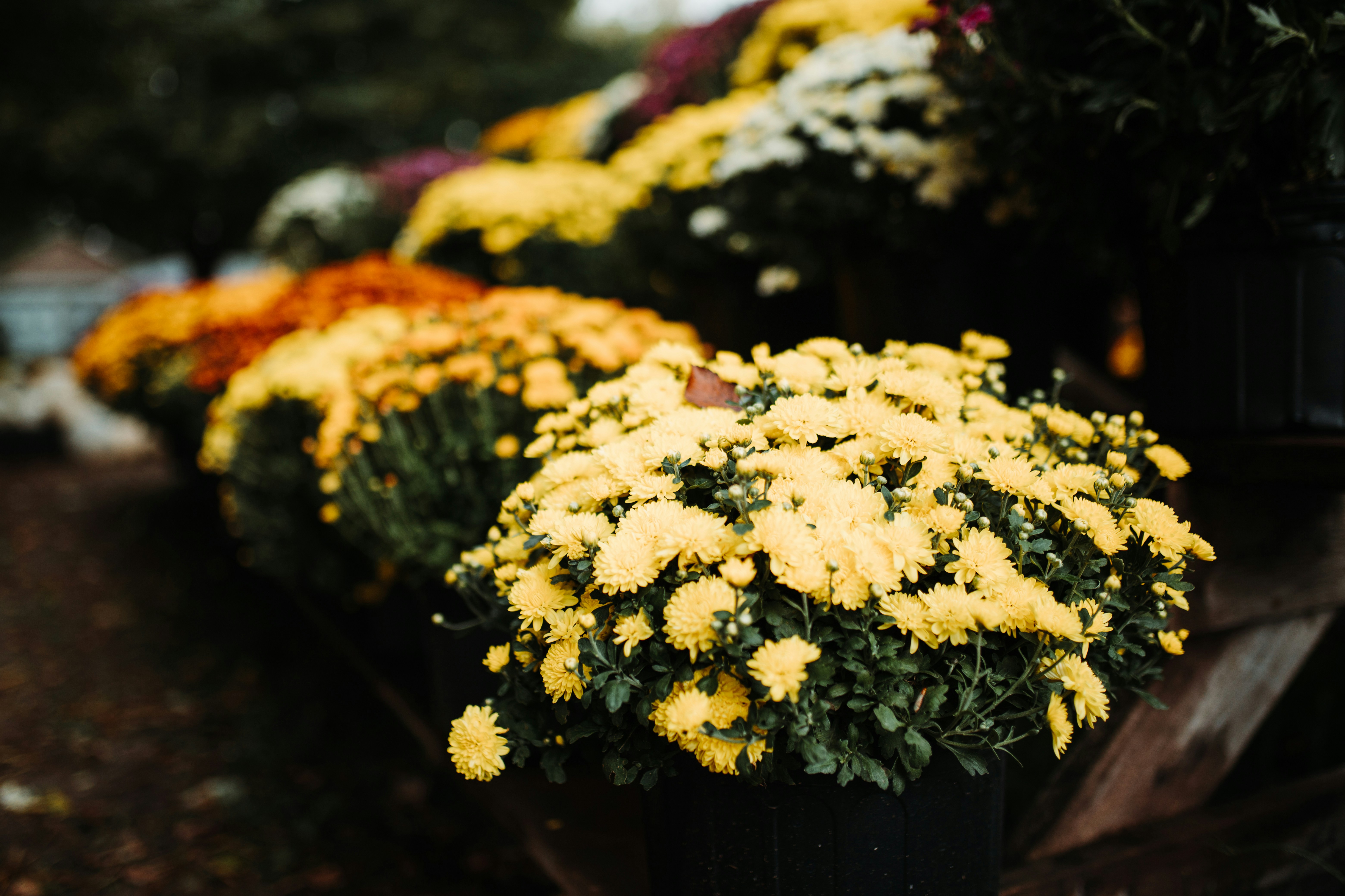 Arthur Truss Photos | Télécharger des images gratuites sur Unsplash