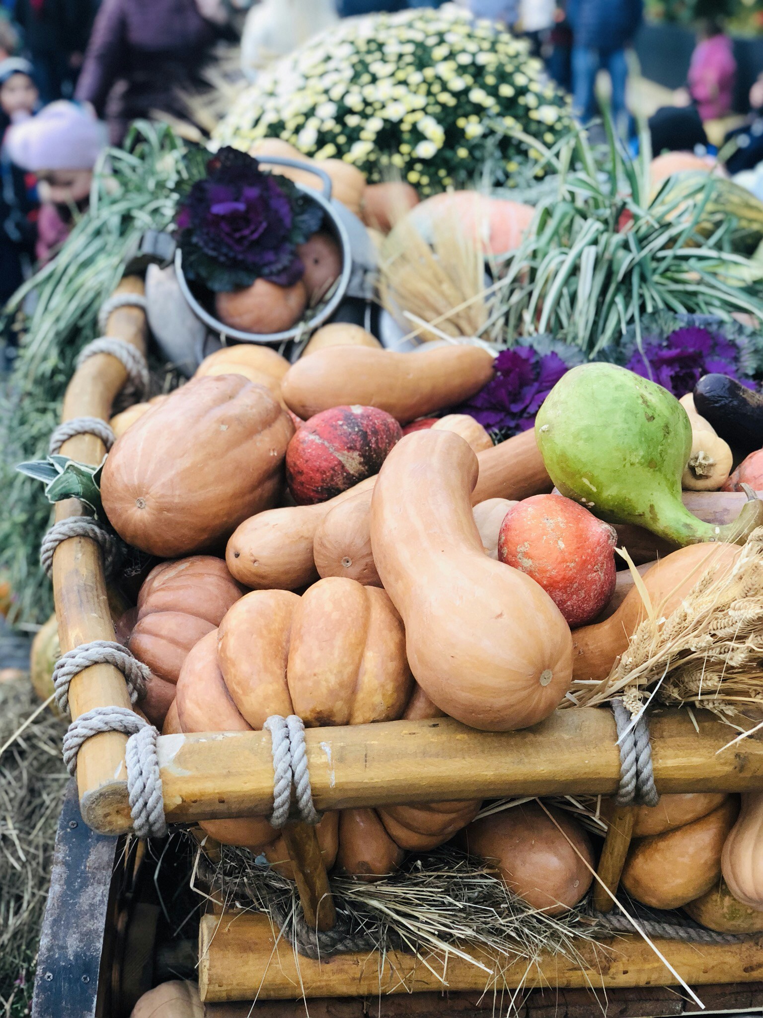 Harvested Cart of Autumn Colors at a Street Market