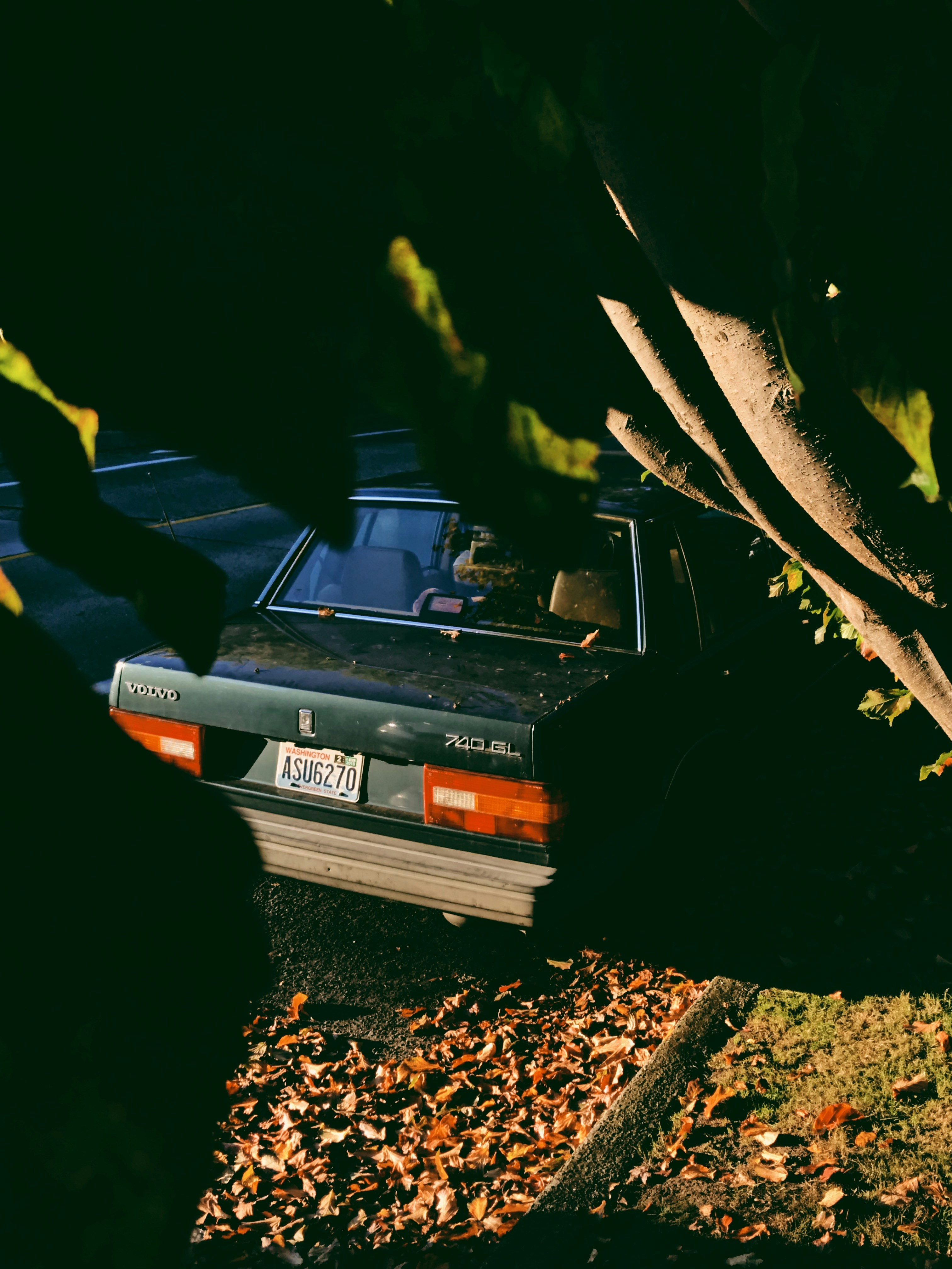 A vintage Volvo 740 GL partially obscured by foliage, surrounded by autumn leaves, evoking a sense of nostalgia and tranquility.