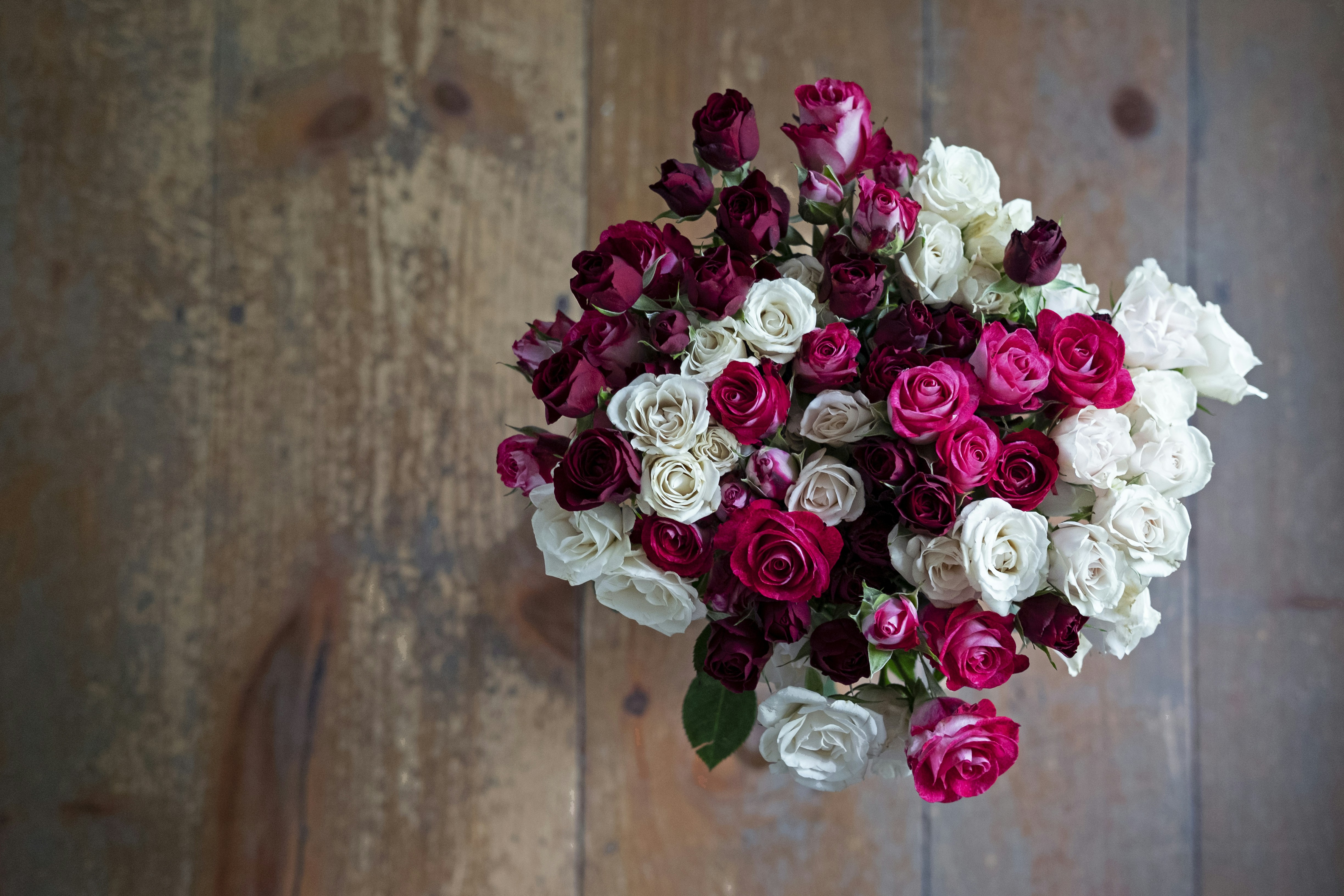 Laura Briedis (@laurabriedis) | Unsplash 사진 커뮤니티