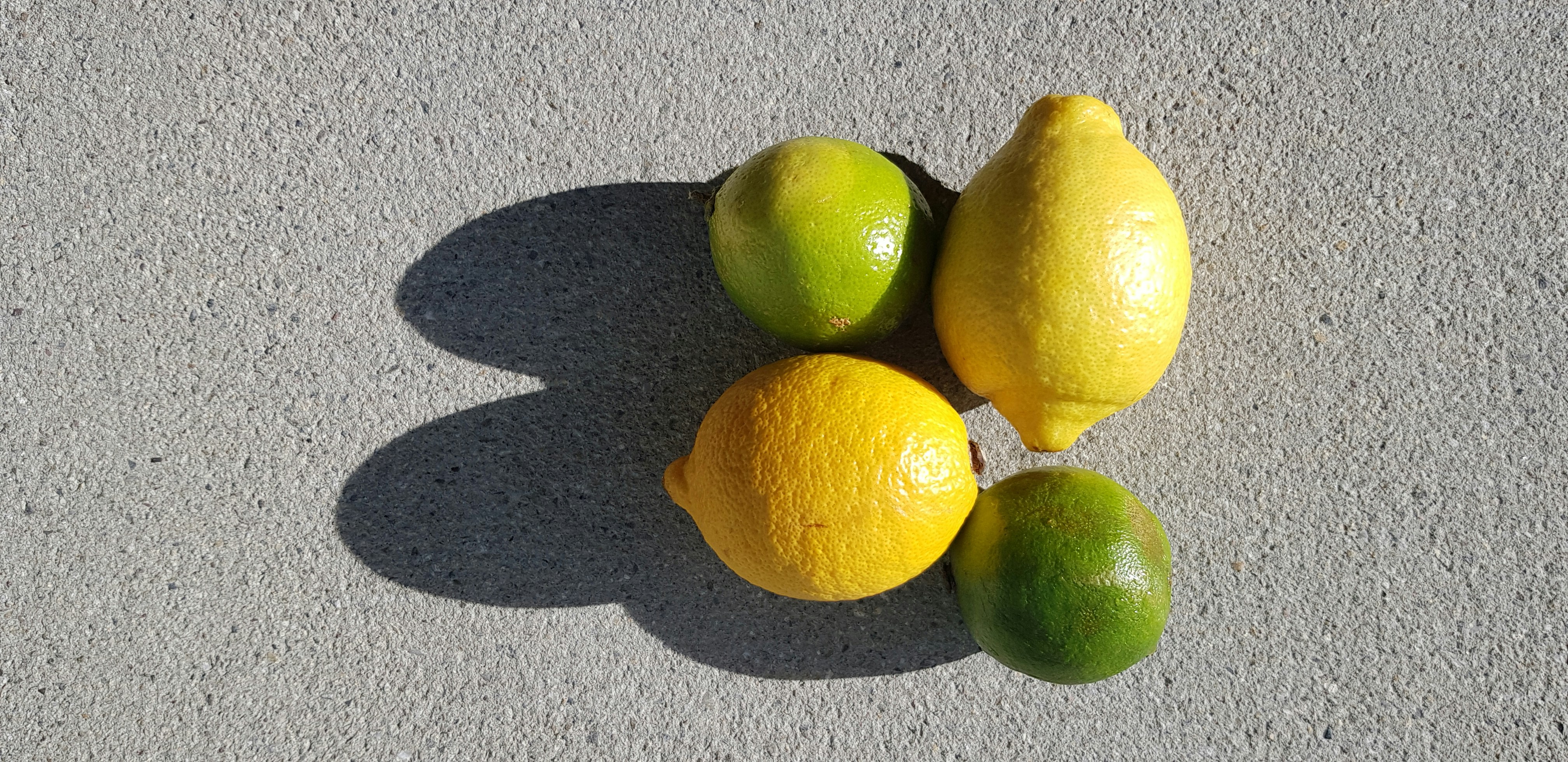 A small cluster of lemons and limes sits on a textured concrete surface, bathed in sunlight. The arrangement highlights vibrant citrus colors and the long shadows cast by the fruit.