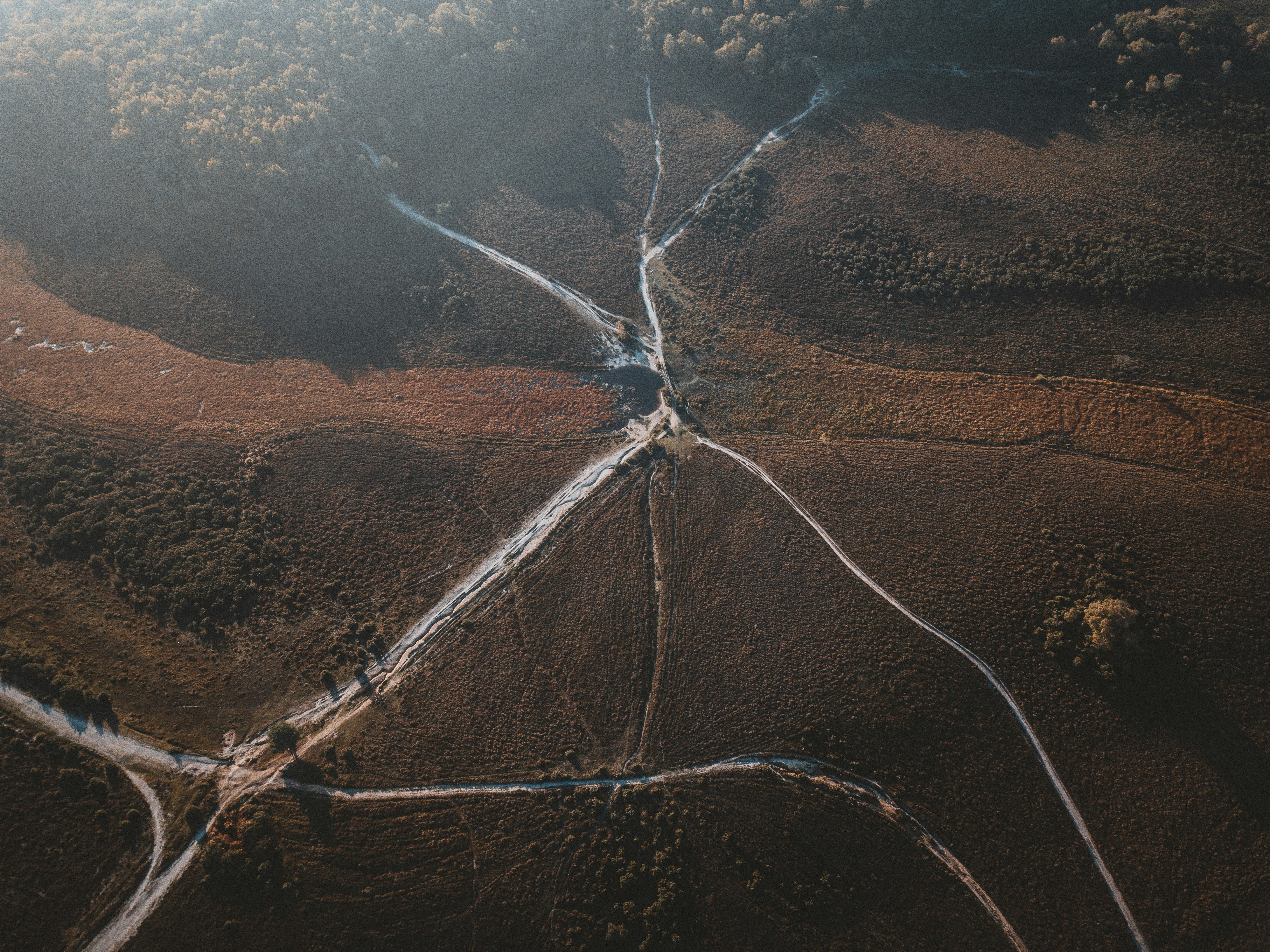 Intersecting dirt paths weave through autumn-hued terrain under soft morning light.