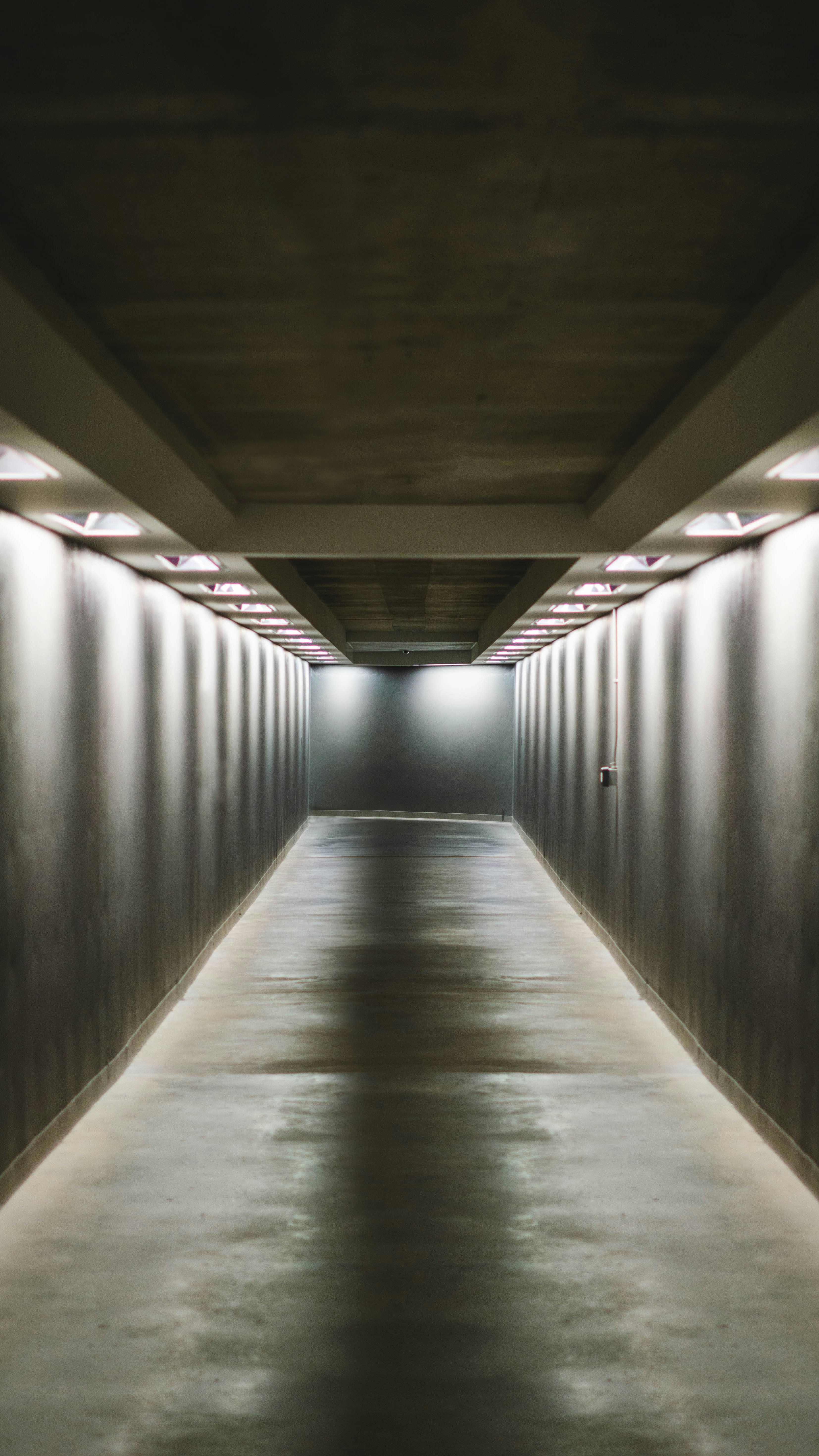 Empty gray pathway photo – Free University of saskatchewan Image on ...