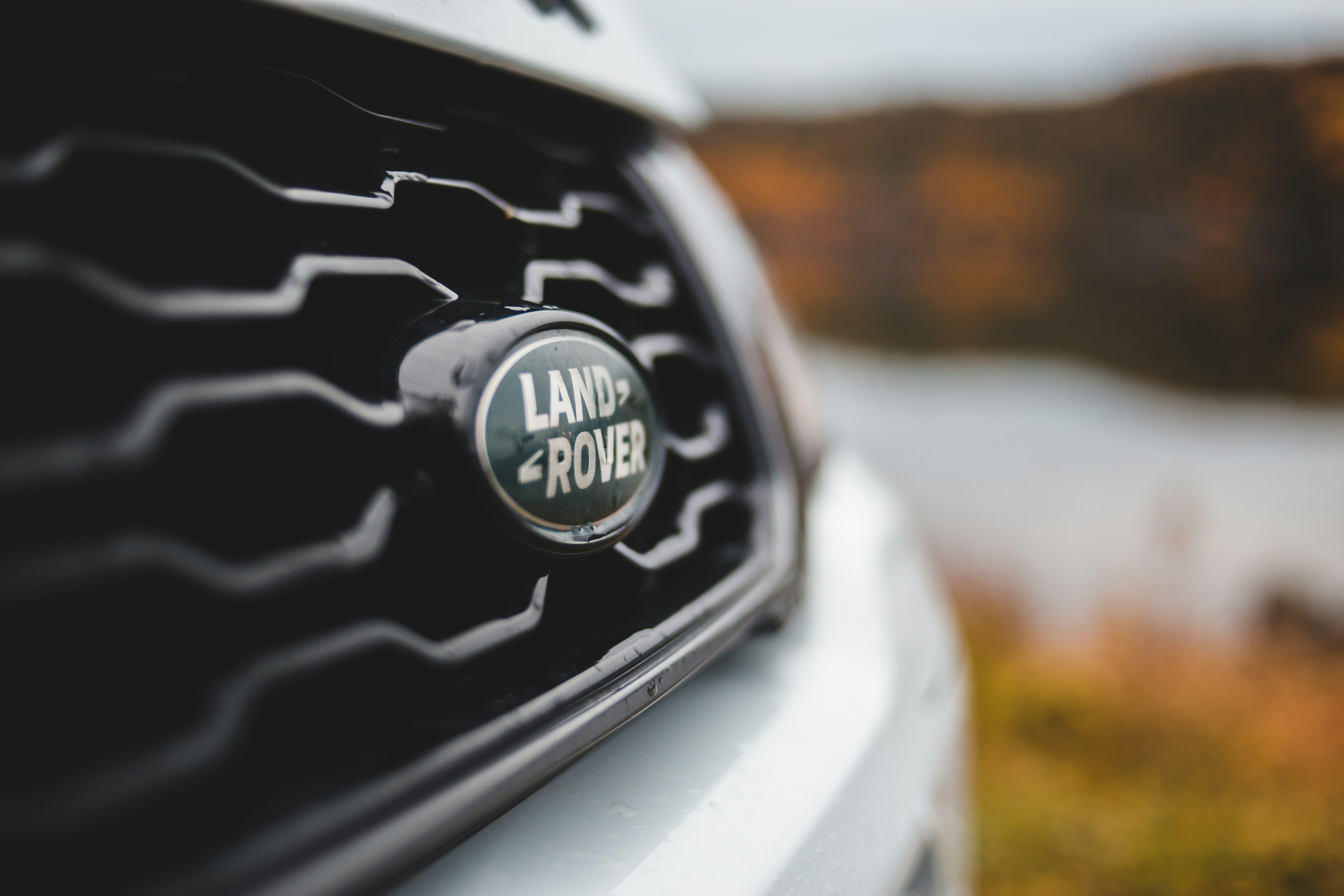 Close-Up of a Land Rover Emblem Framed by Grille Grainless in Autumn Light