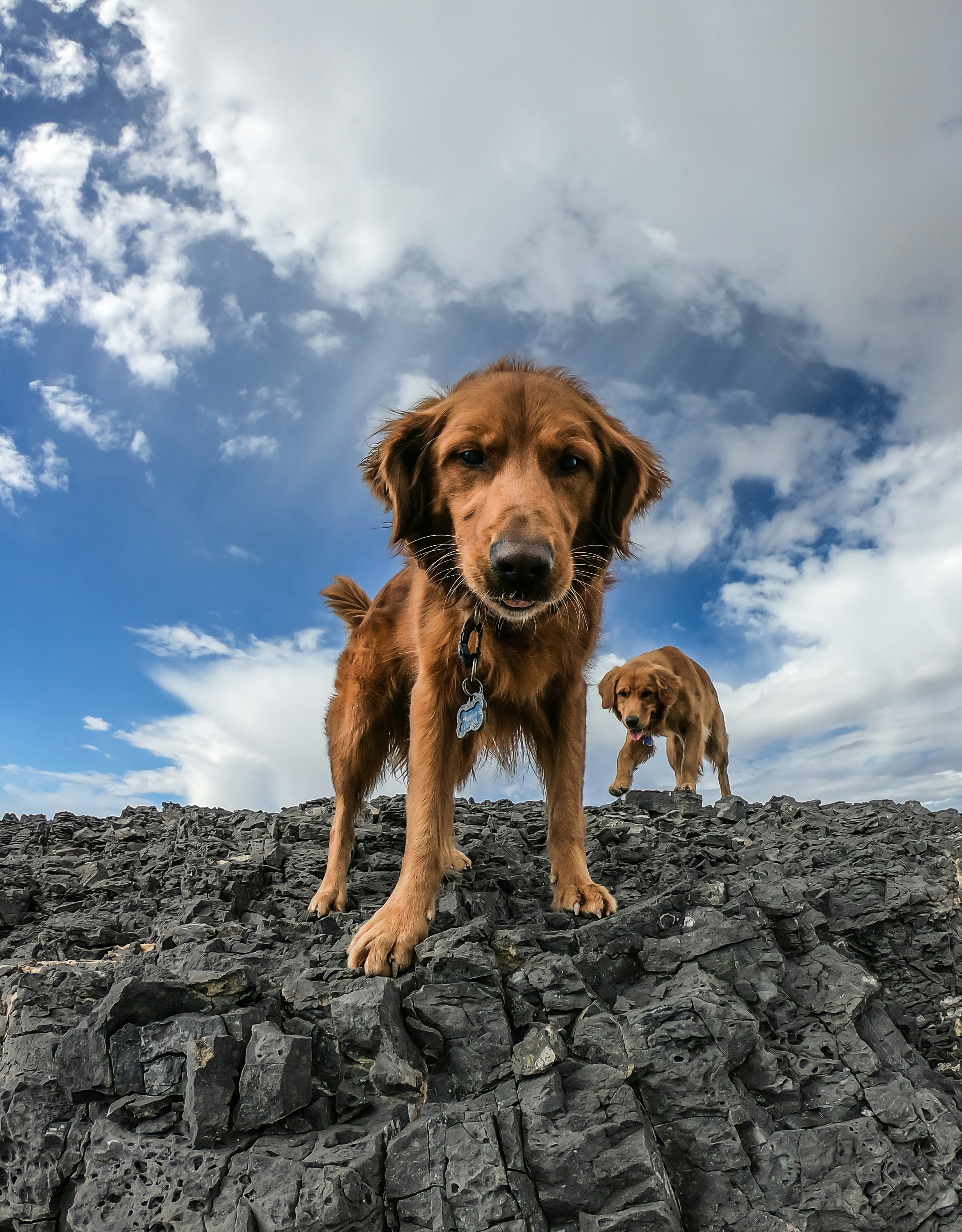 Leap of Focus: A Duo on volcanic rocks under a bright sky