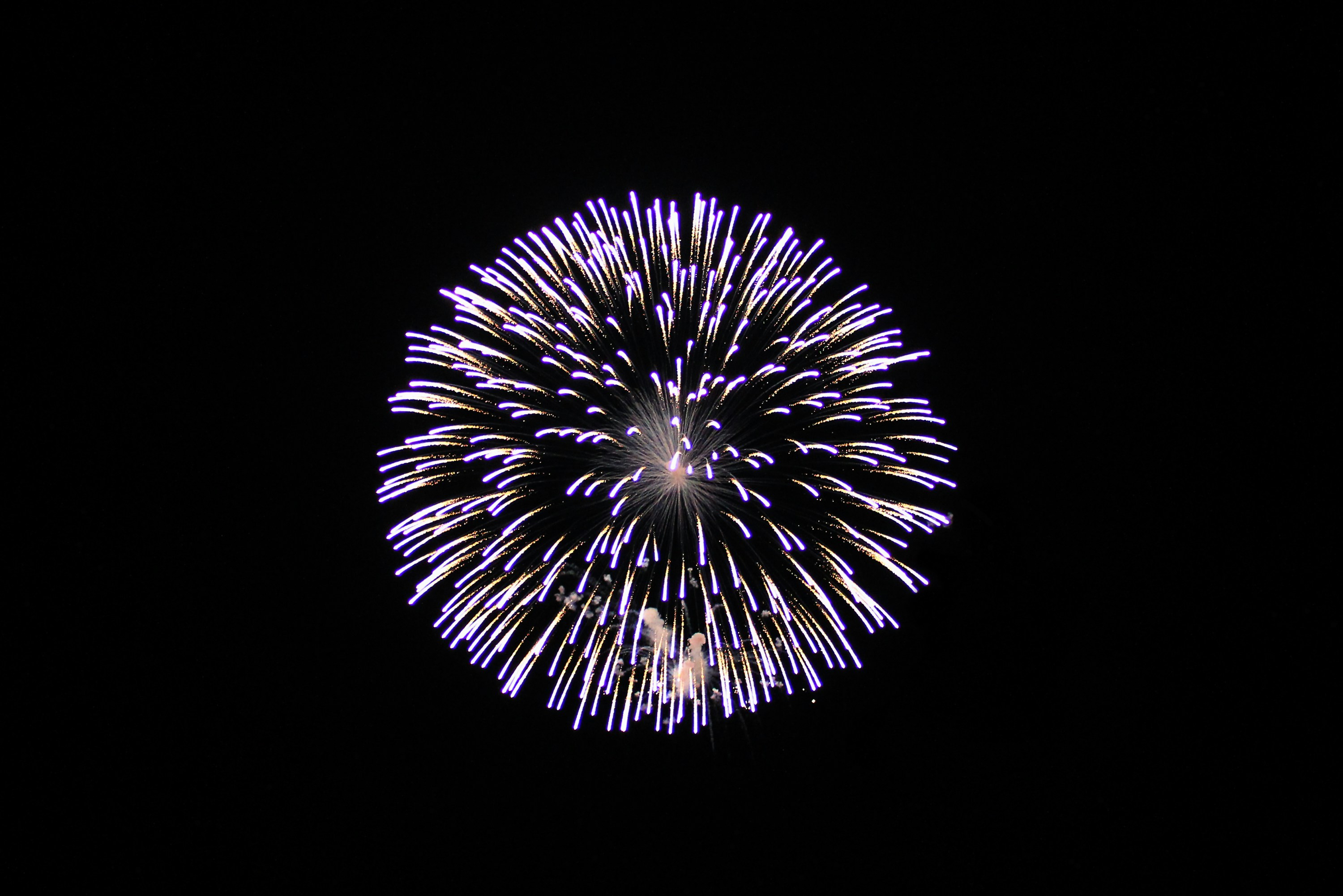 Midnight Bloom: Central Firework Crown against a Velvet Sky